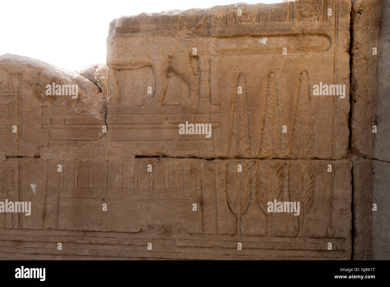 Inscriptions dedications hi-res stock photography and images - Alamy