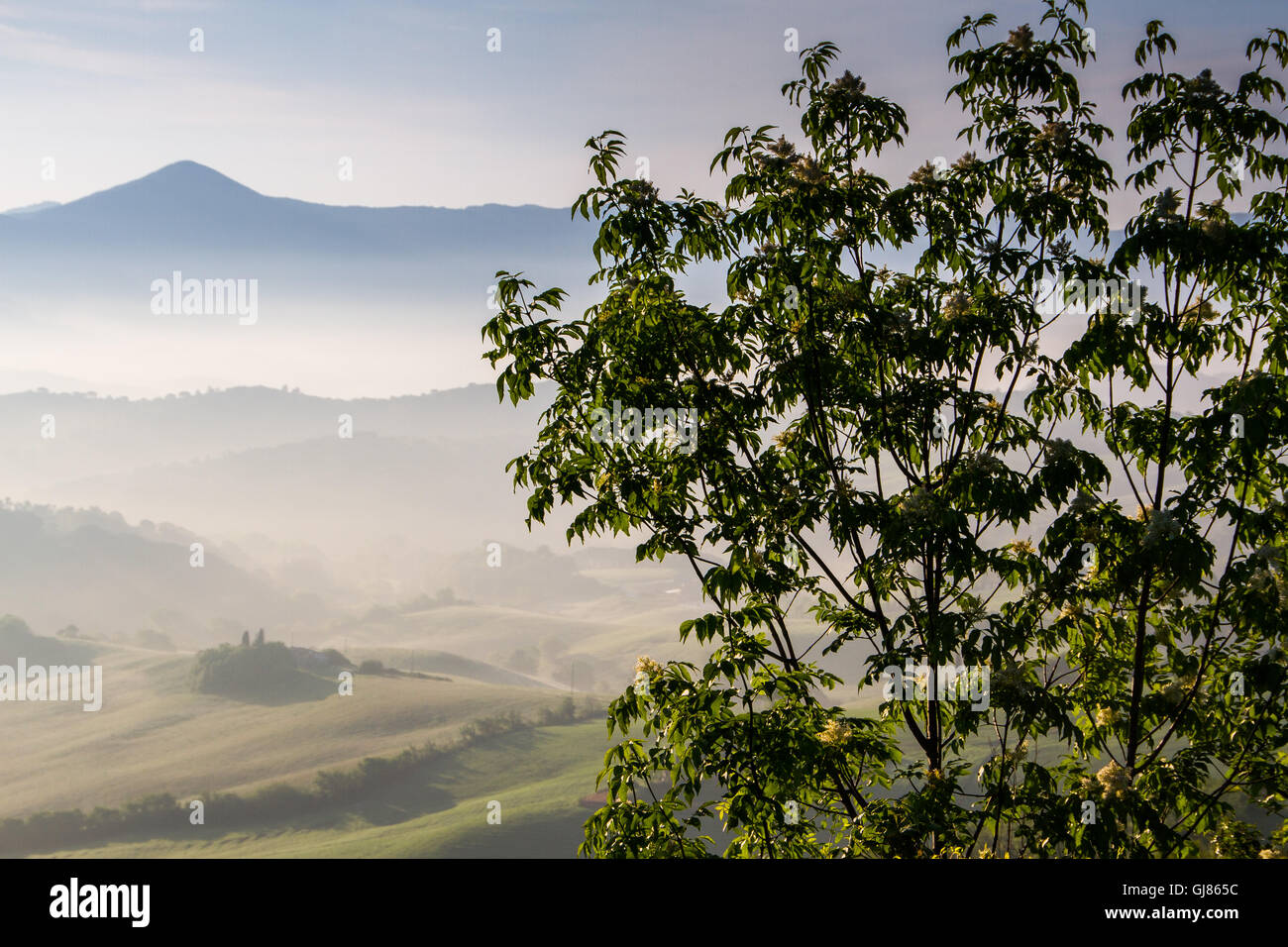 Guardistallo, Tuscany, Italy, view from the hill of Ricrio, landscape ...
