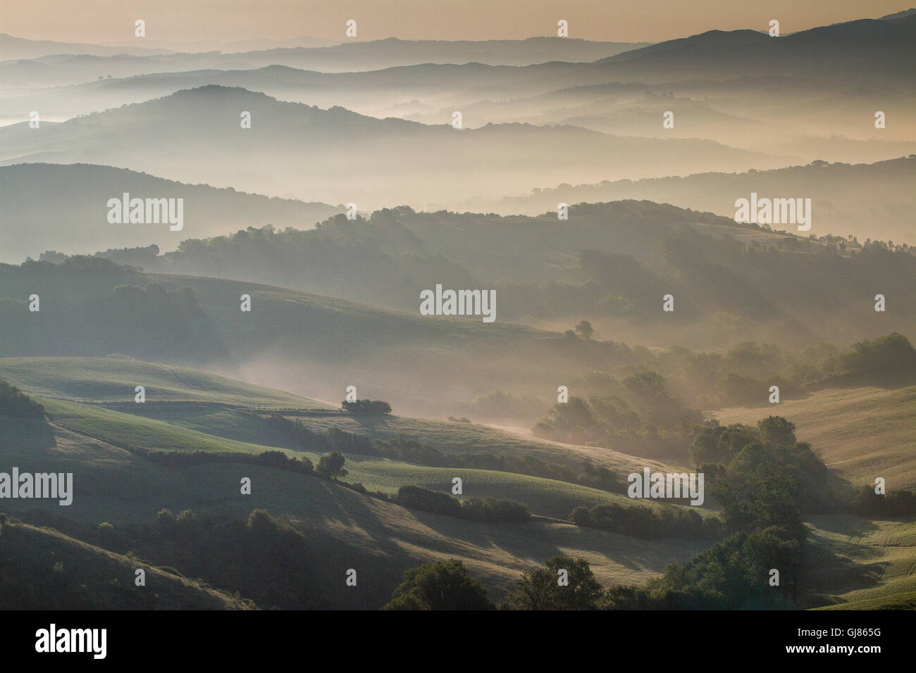 Guardistallo, Tuscany, Italy, view from the hill of Ricrio, landscape ...