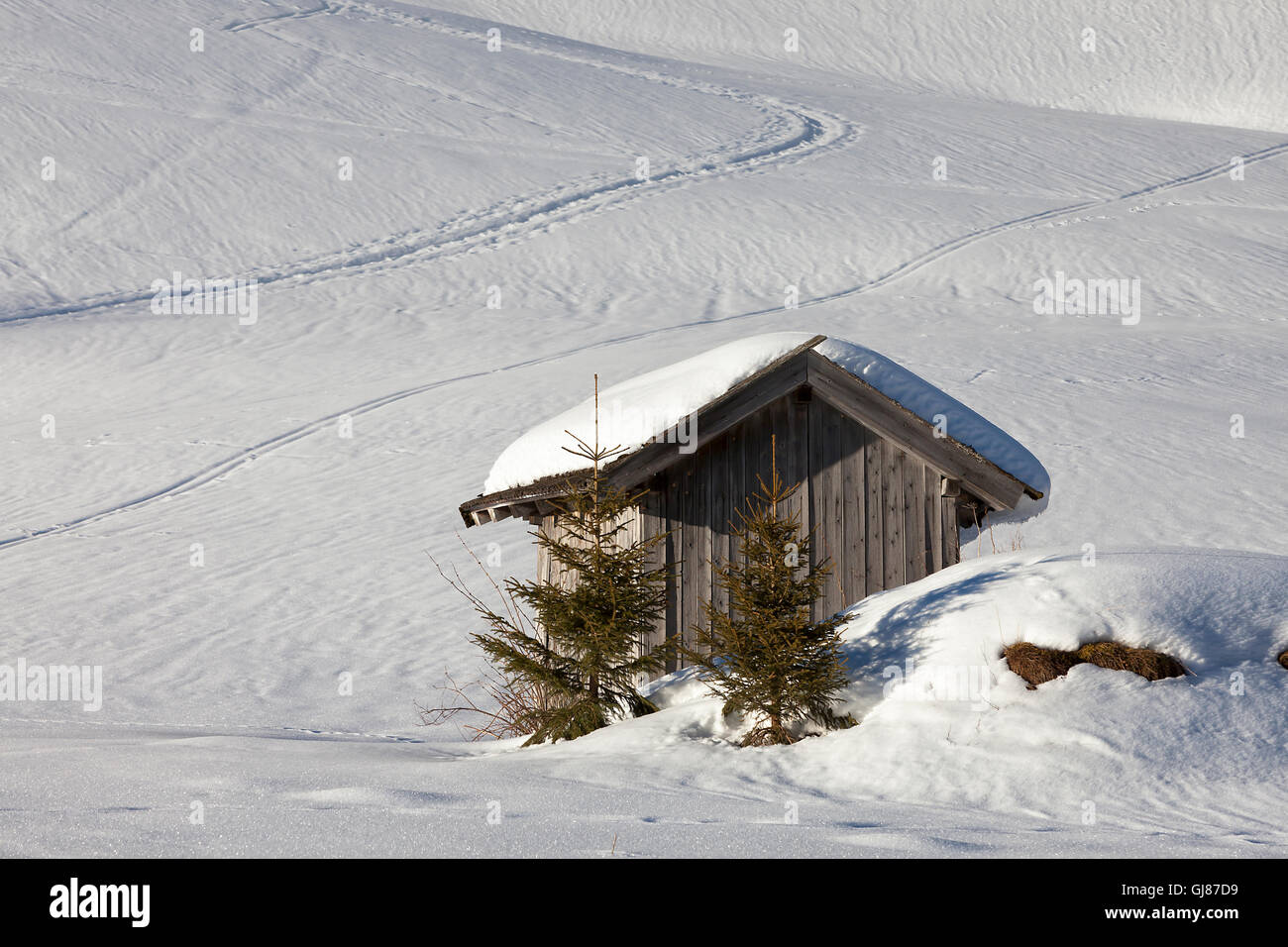 Traditional wooden hut in snow, Alps, Austrian Stock Photo - Alamy