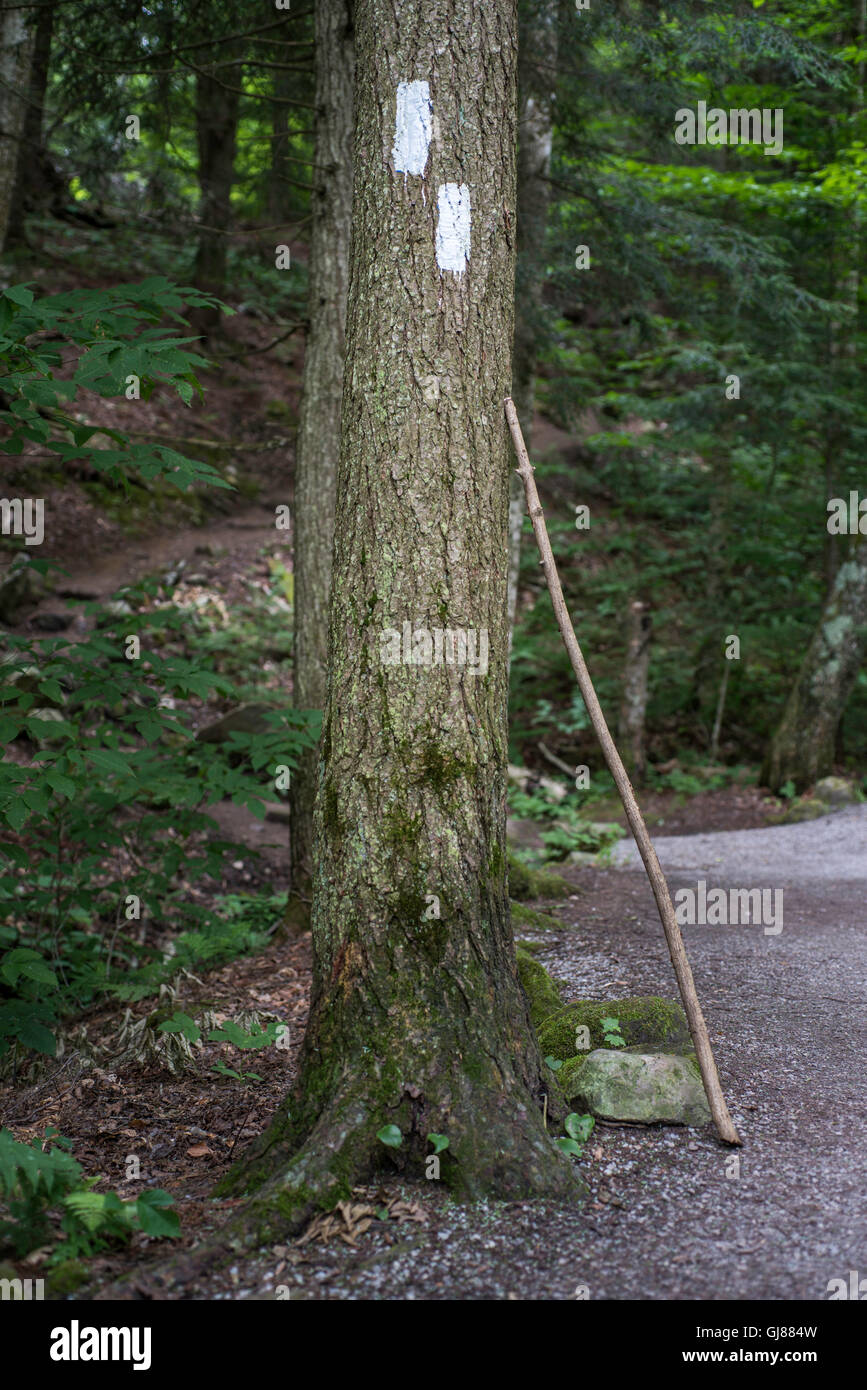 Tree marker hi-res stock photography and images - Alamy