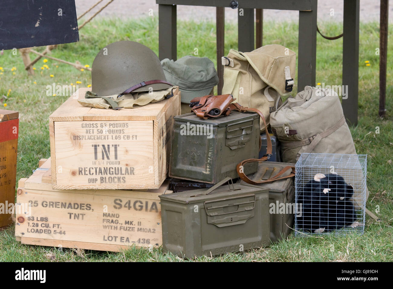 TNT and Grenades WW11 Ammunition creates and equipment Stock Photo - Alamy
