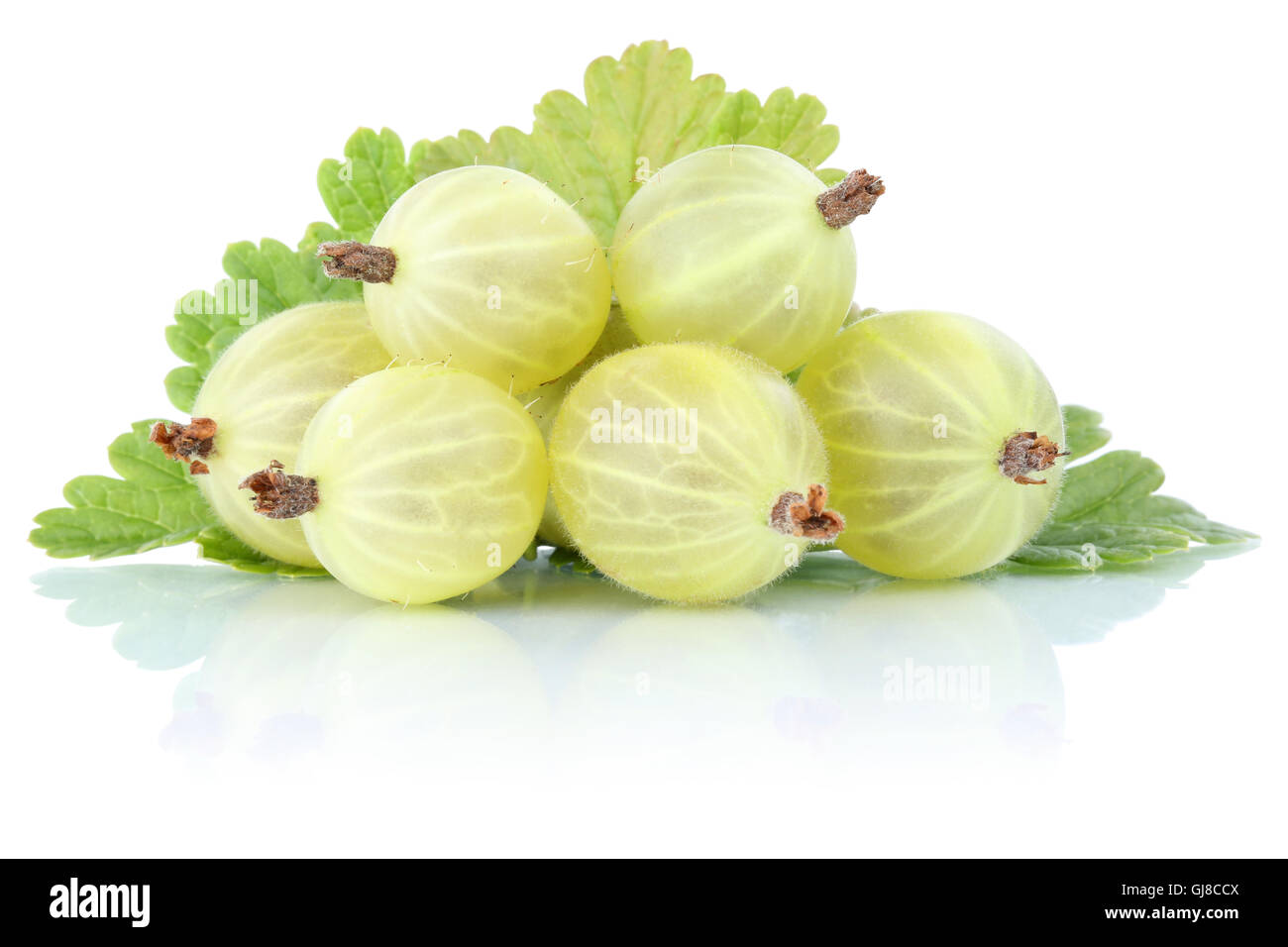 Gooseberries gooseberry berries fresh fruits fruit isolated on a white ...