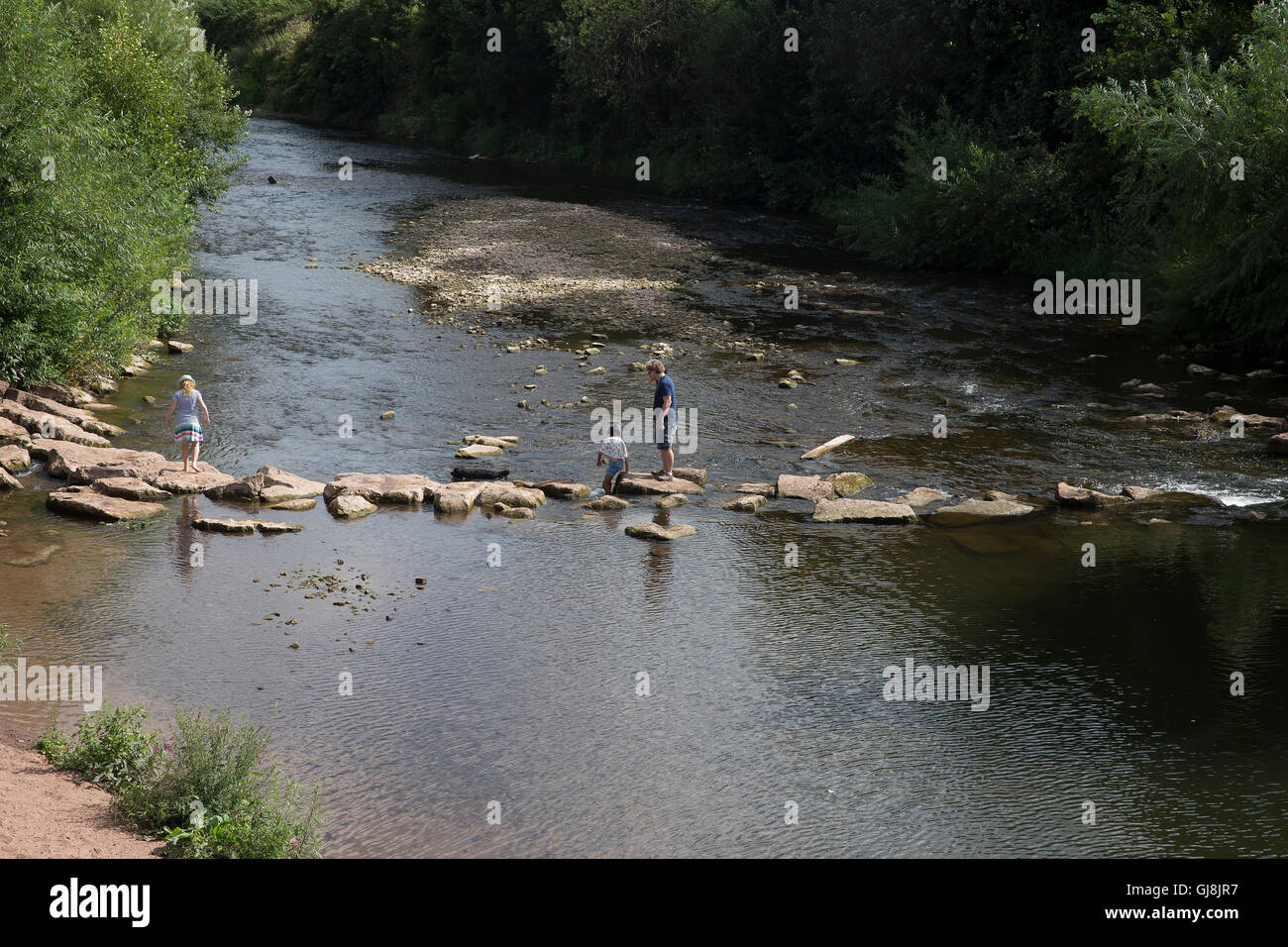 Monmouth,UK,13th August 2016,Families with children paddle in the river ...