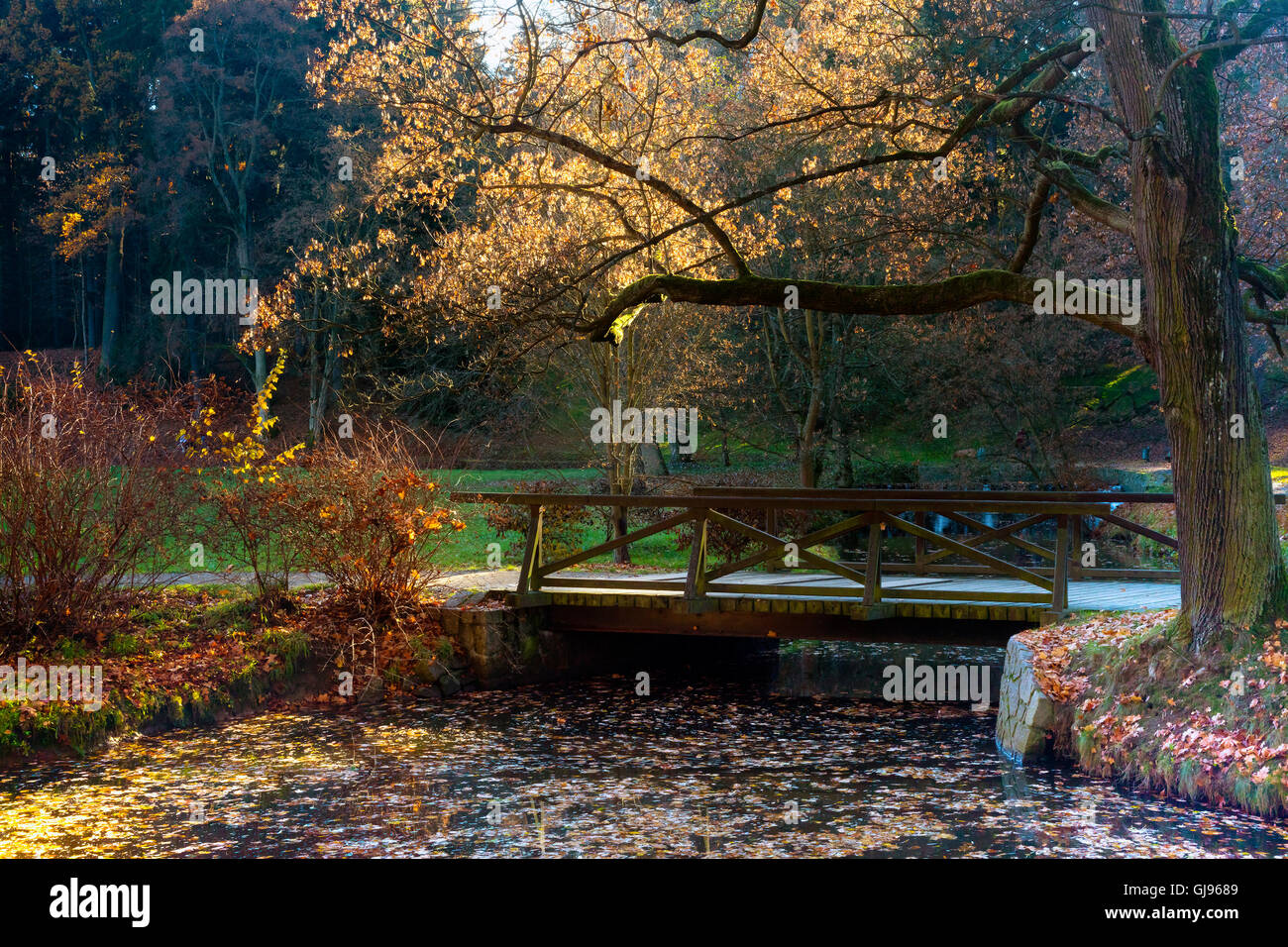 The Old wooden bridge in the park Stock Photo - Alamy