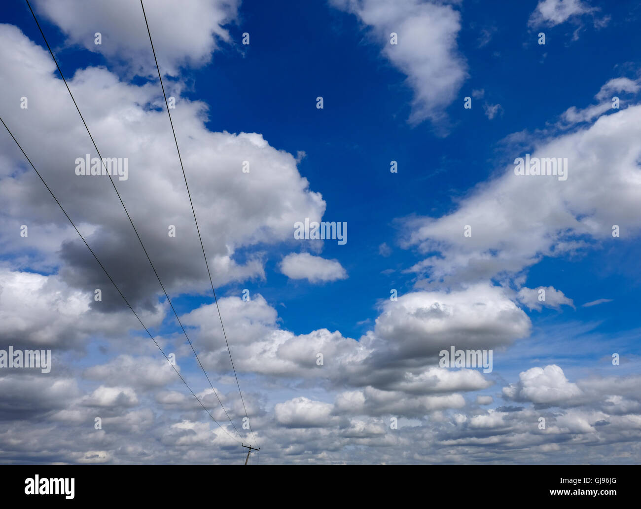 Abstract view of a trio of electricity cables suspended from a leaning ...