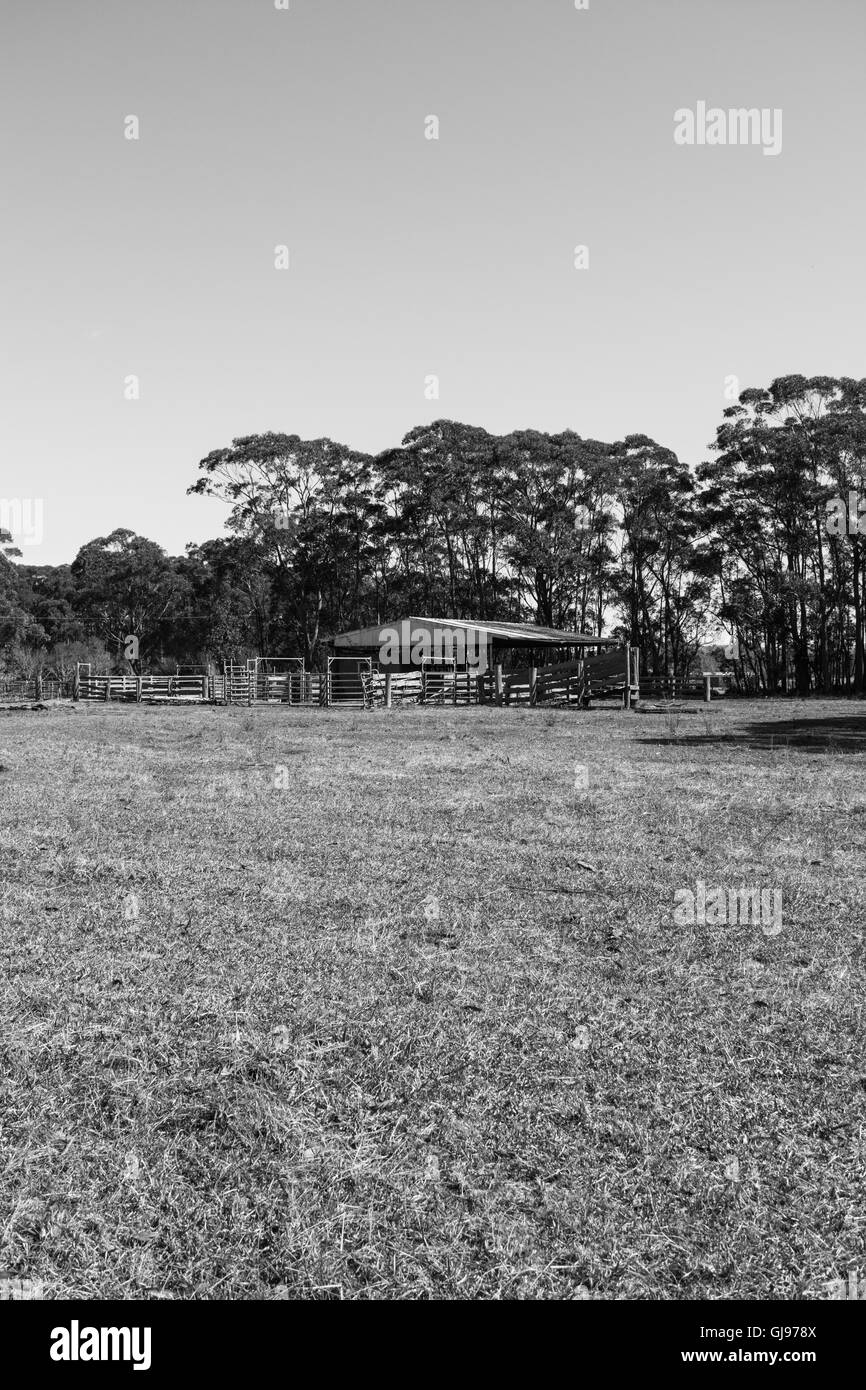 Stockyards station hi-res stock photography and images - Alamy