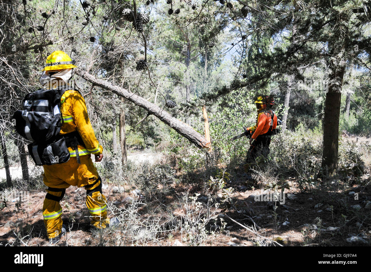 Forest Clearing Fire High Resolution Stock Photography and Images - Alamy