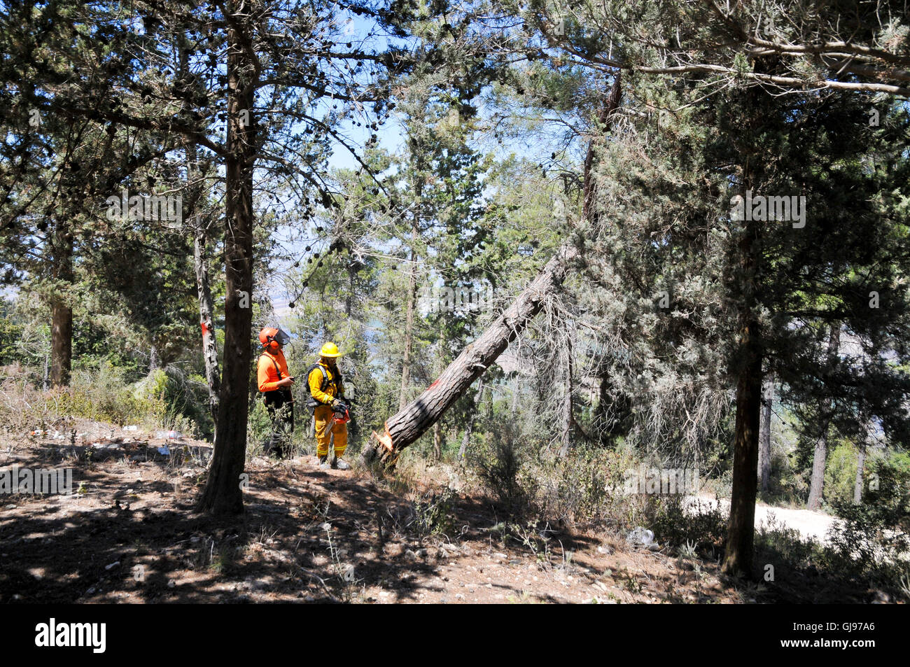 Power rangers hat hi-res stock photography and images - Alamy
