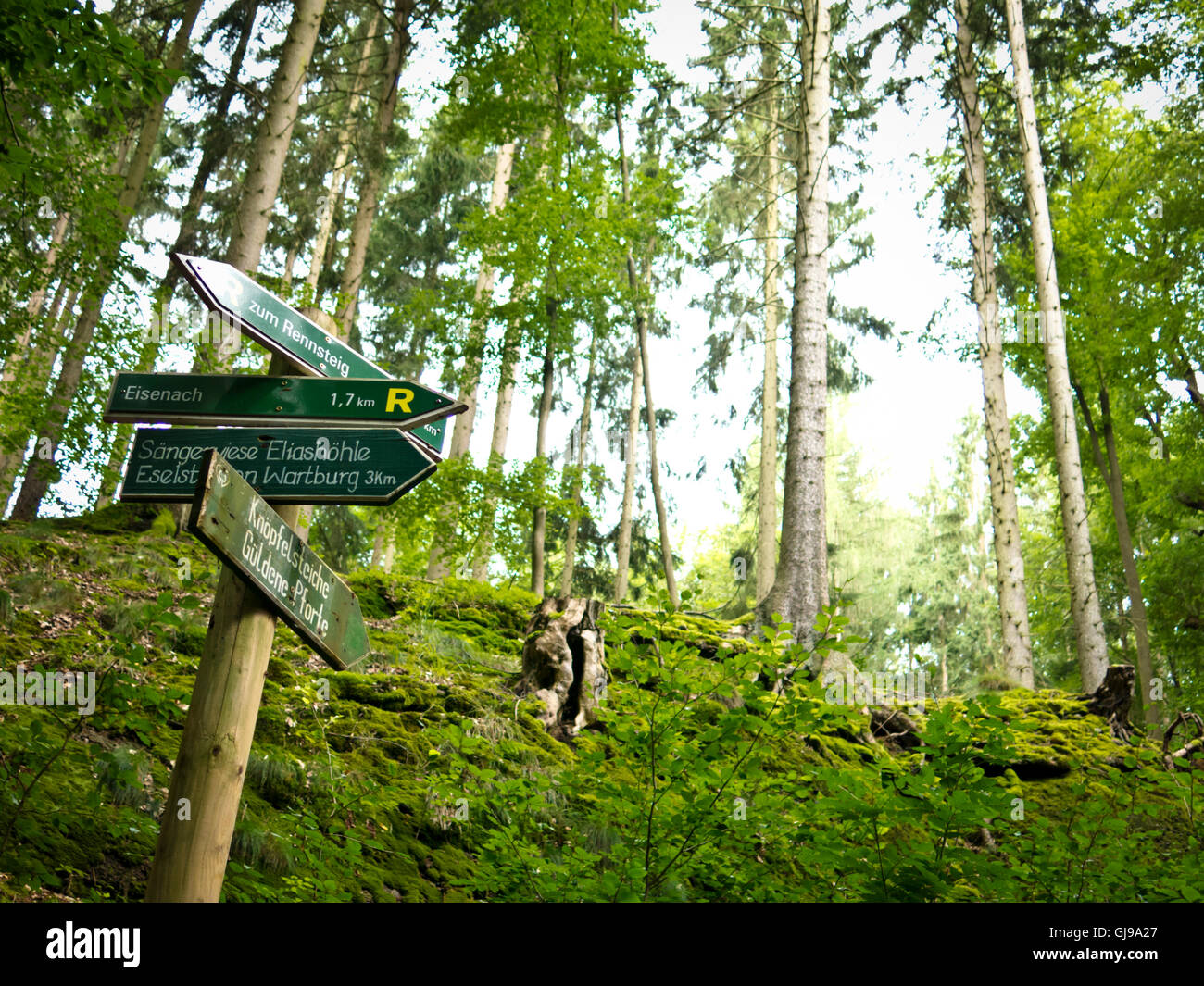 Rennsteig hi-res stock photography and images - Alamy