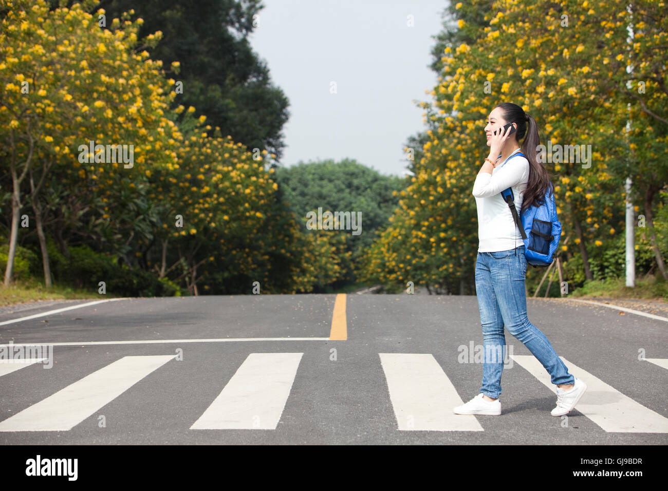 A young female college students across the street Stock Photo - Alamy