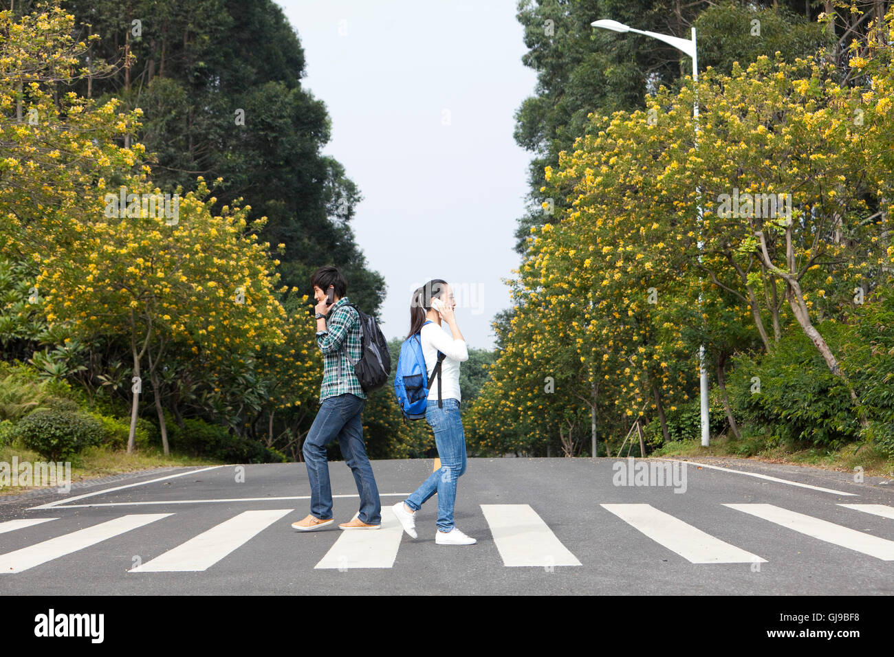 Young college students across the street Stock Photo - Alamy