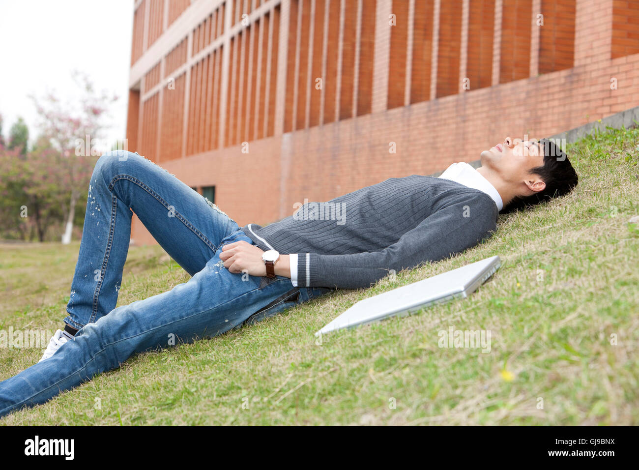 Young college students using laptop on campus Stock Photo - Alamy