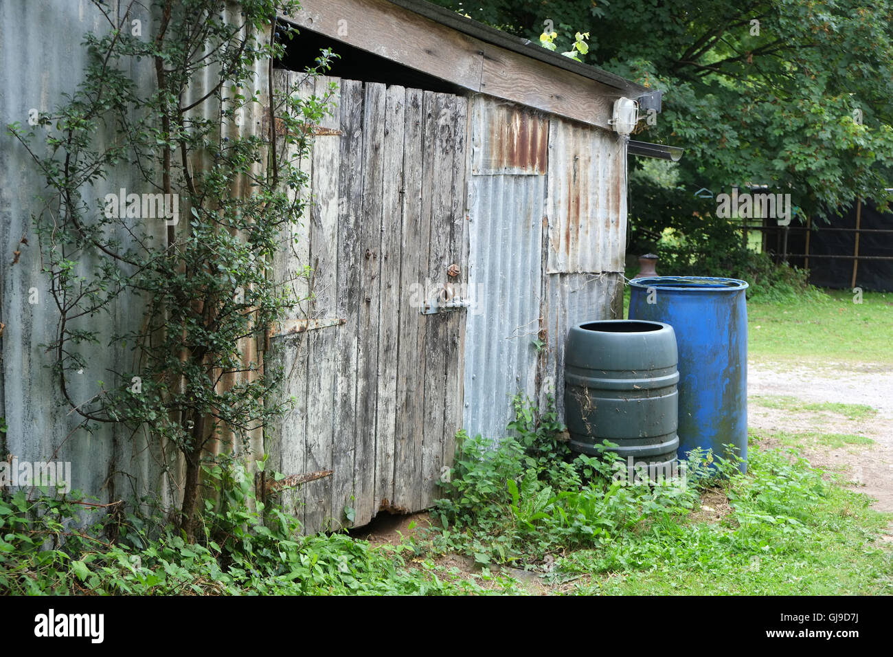 Rustic country hut with water collection barrels August 2016 Stock ...