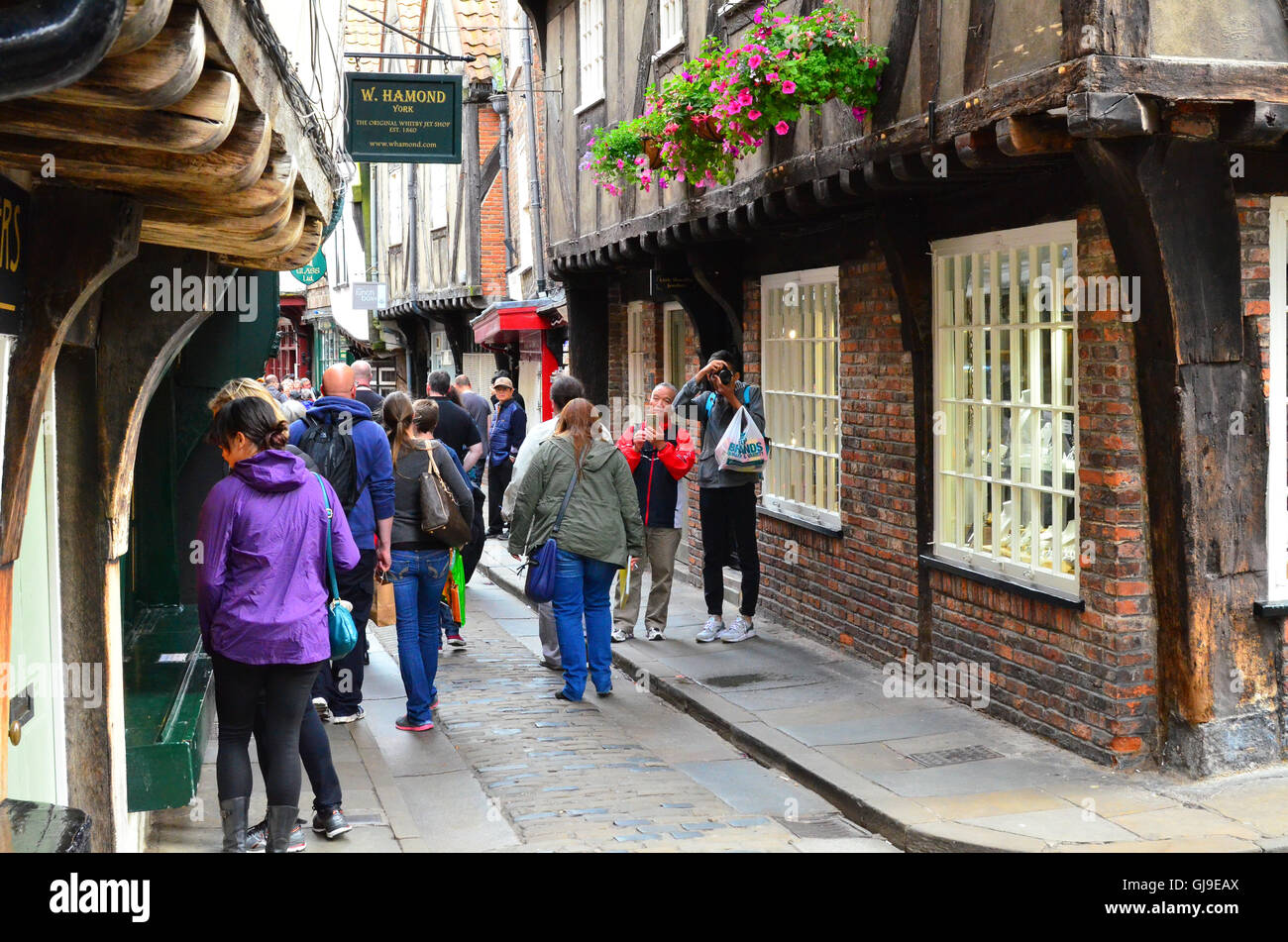 The Shambles, York, UK - Ancient medieval cobbled street and shops in ...