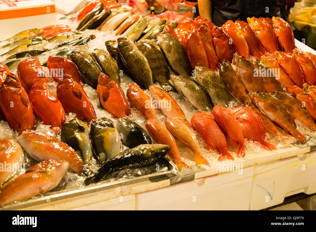 Various fish at fishmarket Stock Photo - Alamy