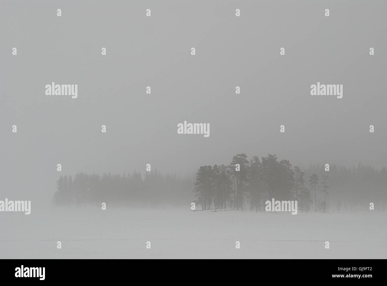 Fogged lake hi-res stock photography and images - Alamy