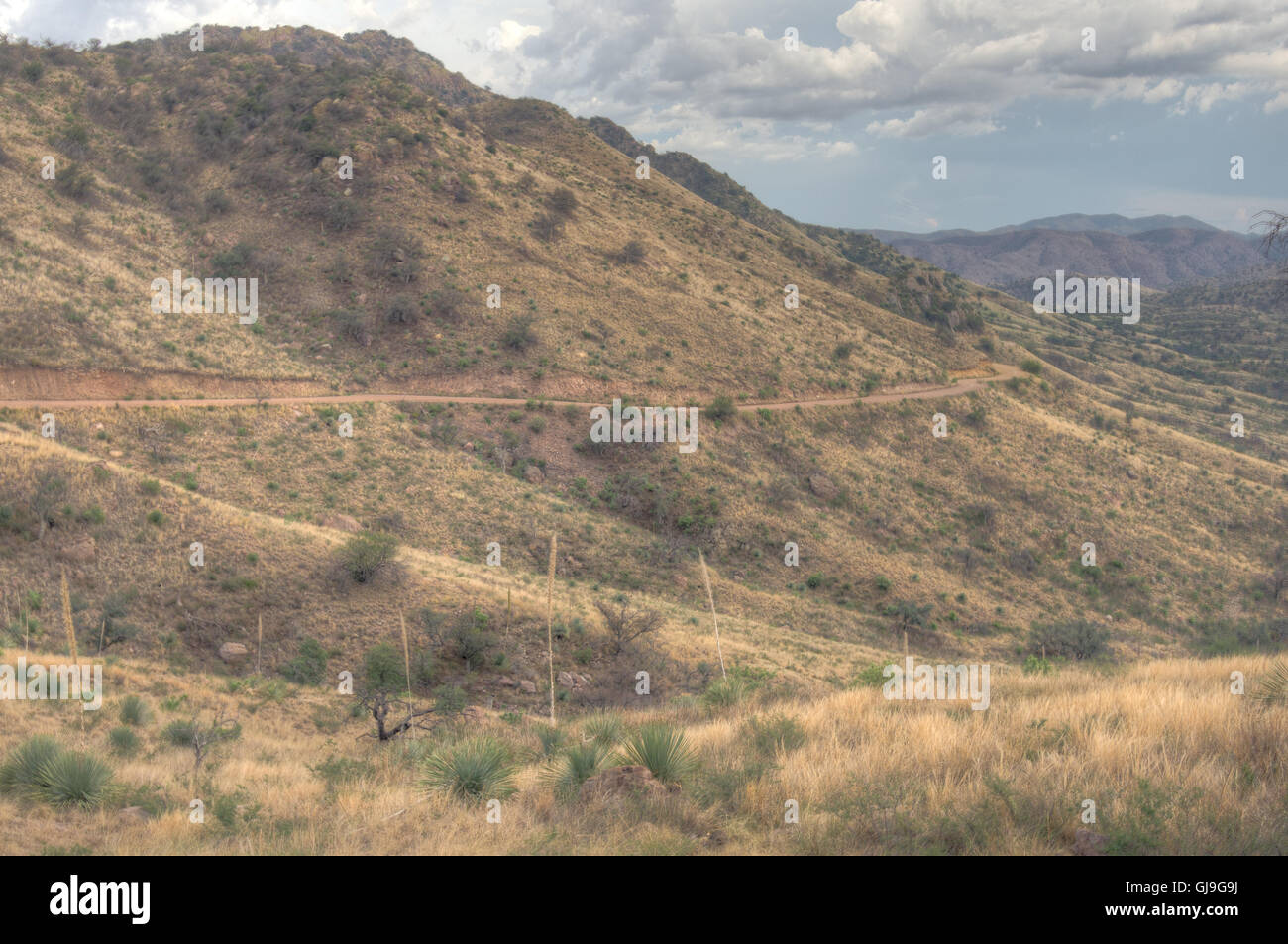 Ruby Road, Santa Cruz co., Arizona, USA Stock Photo - Alamy