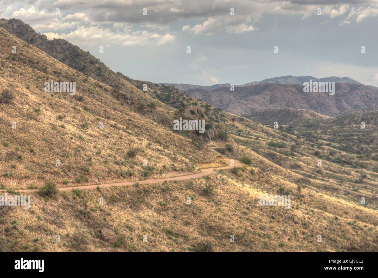 Ruby cruz hi-res stock photography and images - Alamy