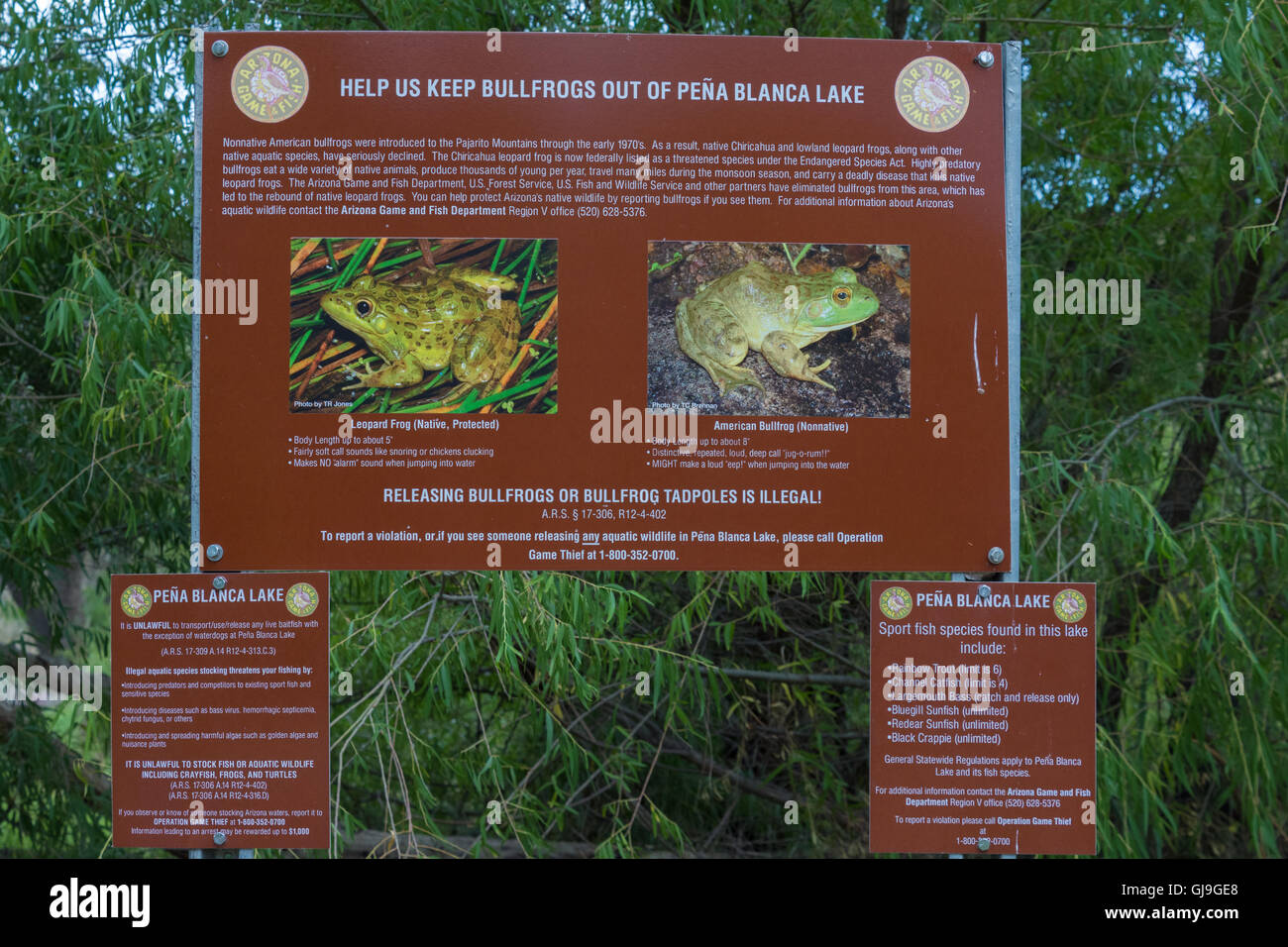 Invasive species sign hi-res stock photography and images - Alamy