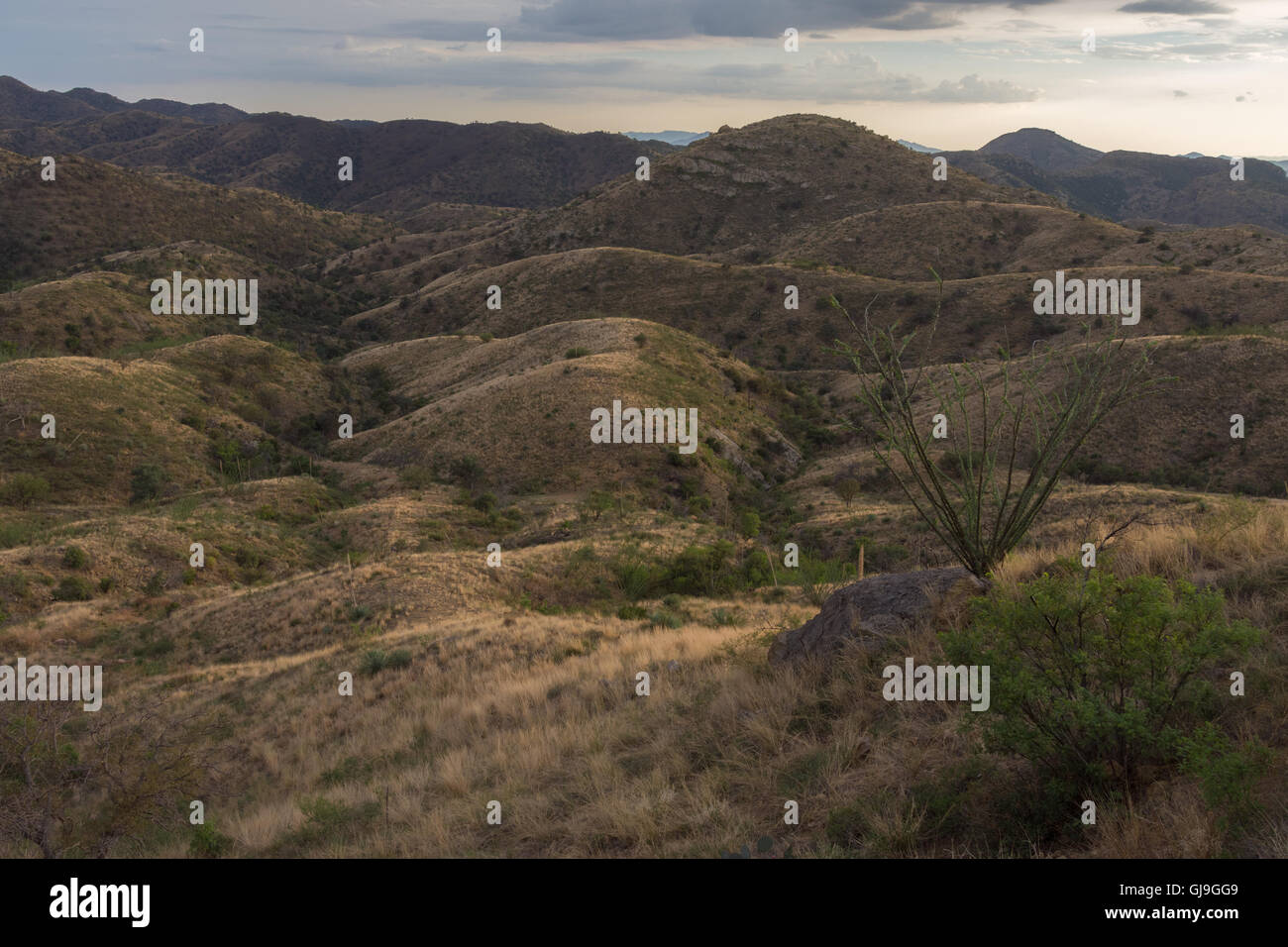 Atascosa Mountains mountains from Ruby Road, Santa Cruz co., Arizona ...