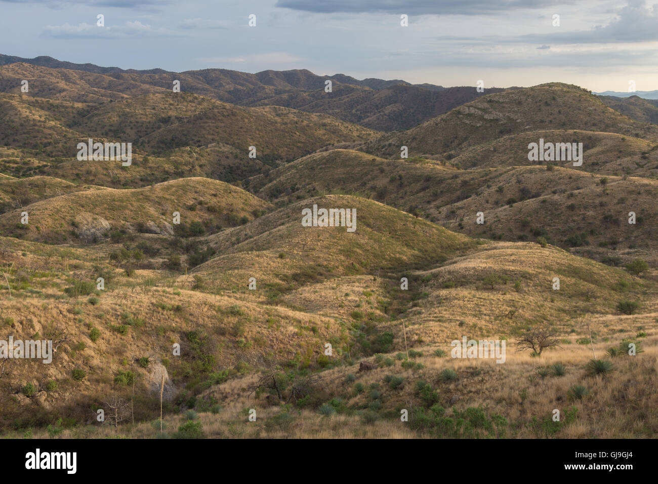 Atascosa Mountains mountains from Ruby Road, Santa Cruz co., Arizona ...