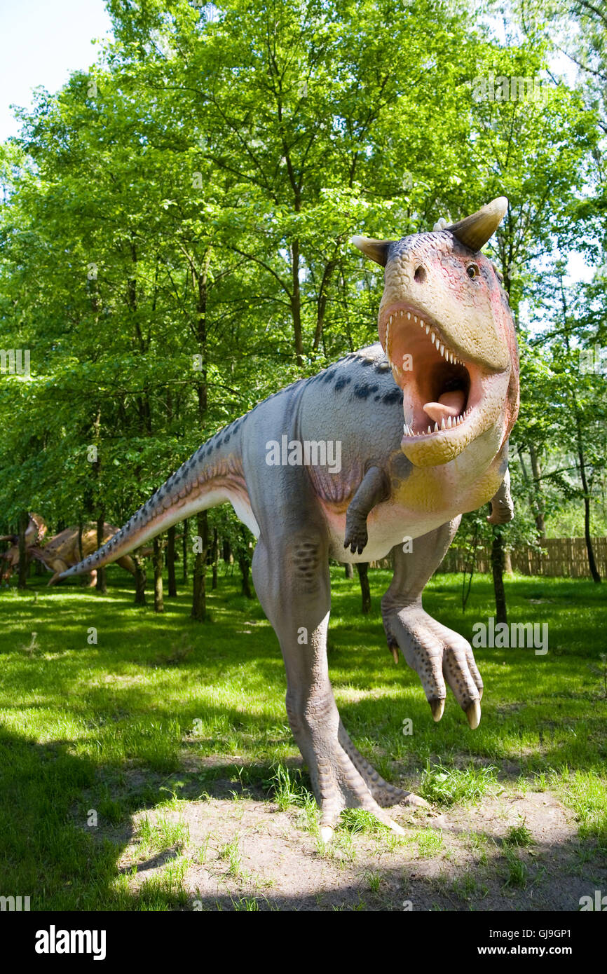 Carnotaurus sastrei hi-res stock photography and images - Alamy