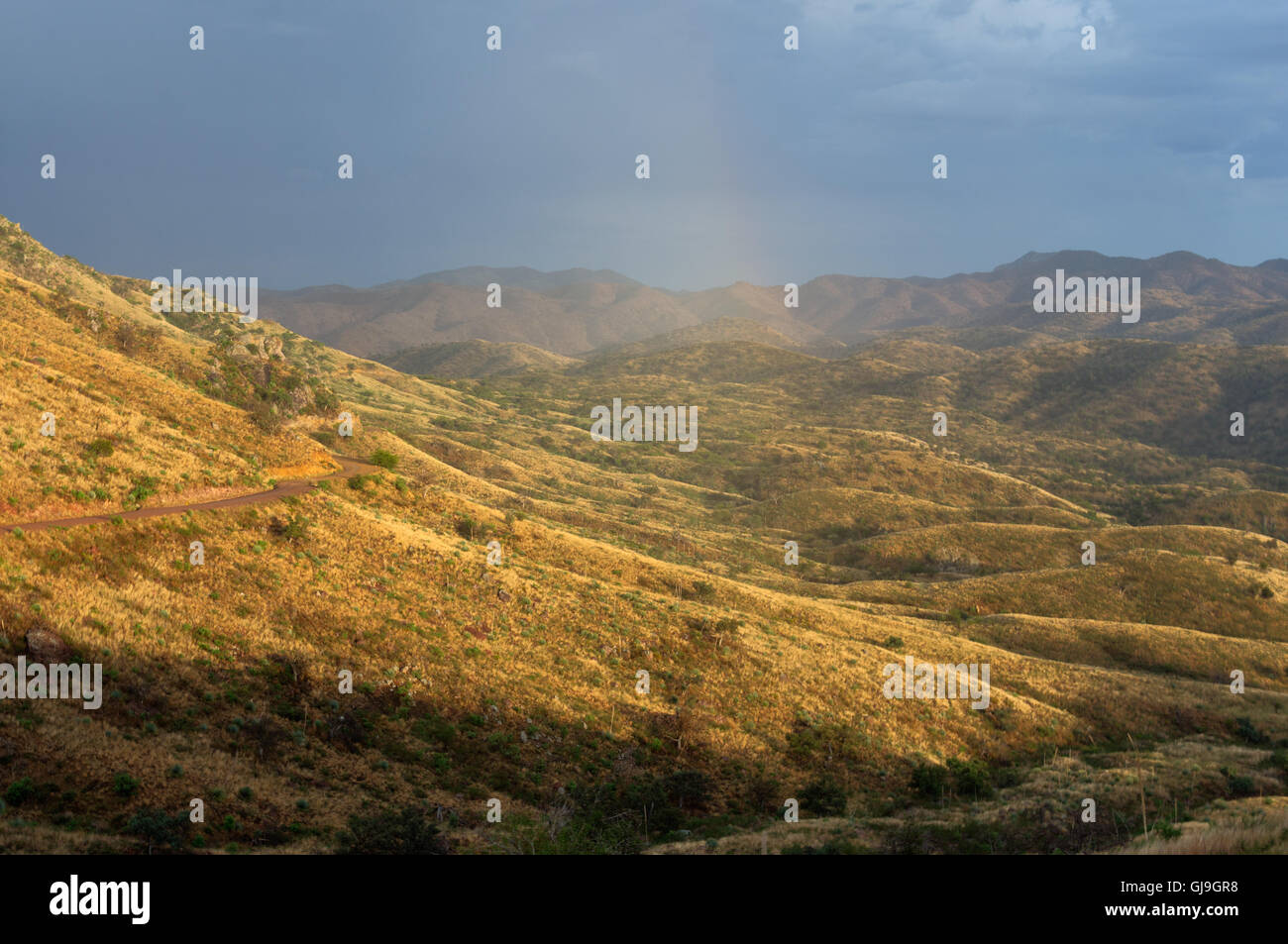 Ruby cruz hi-res stock photography and images - Alamy