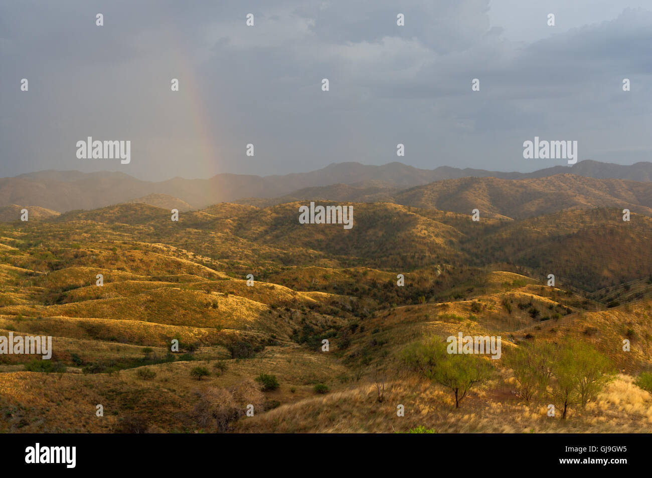 Rainbow ruby hi-res stock photography and images - Alamy
