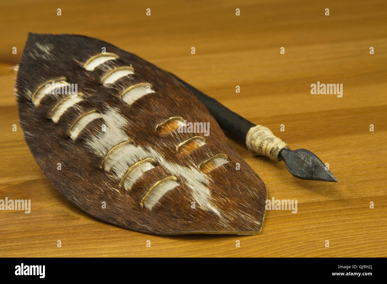 Zulu Warrior Shields Rhini Skin