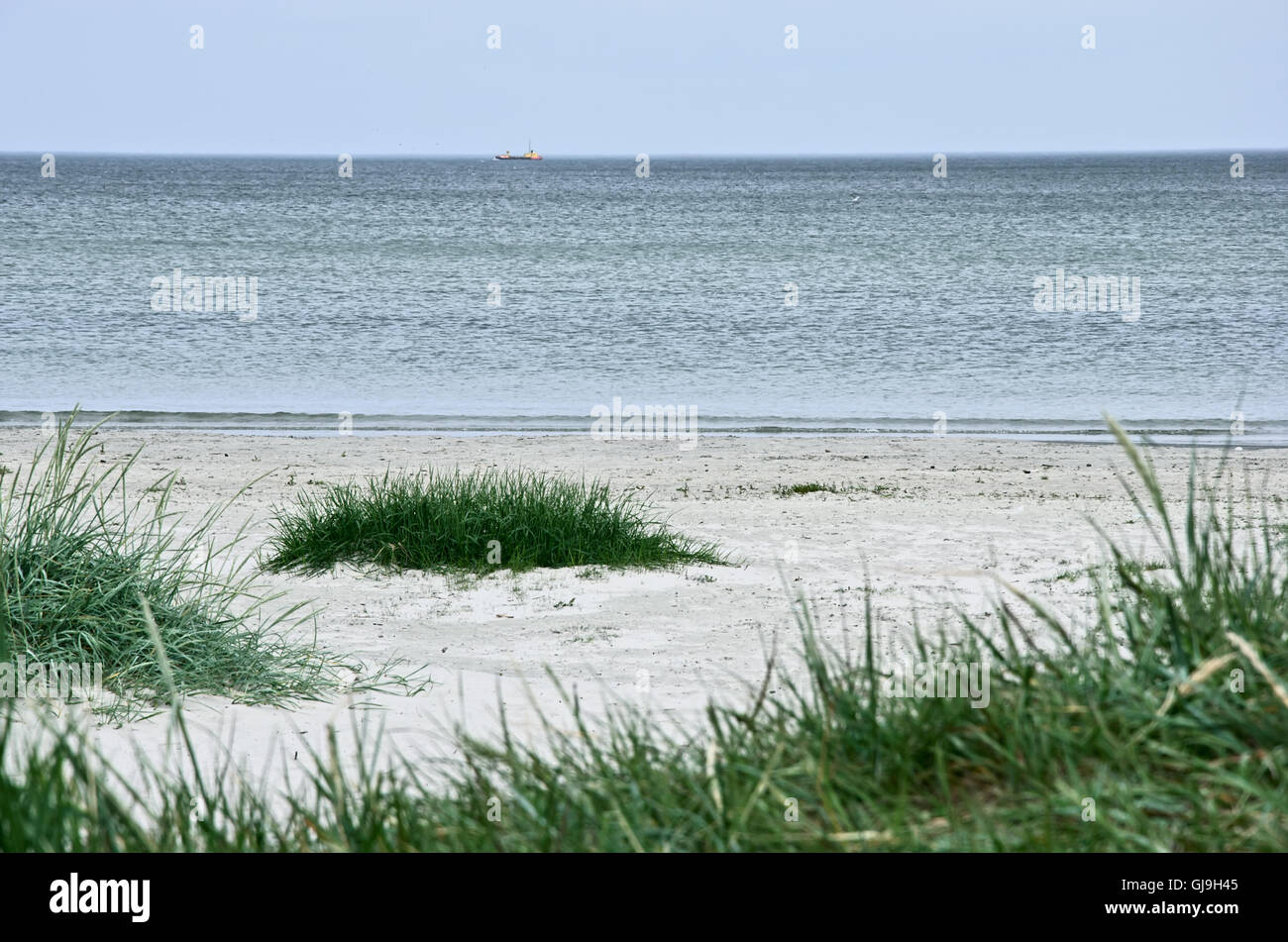 Green grass ocean natural hi-res stock photography and images - Alamy