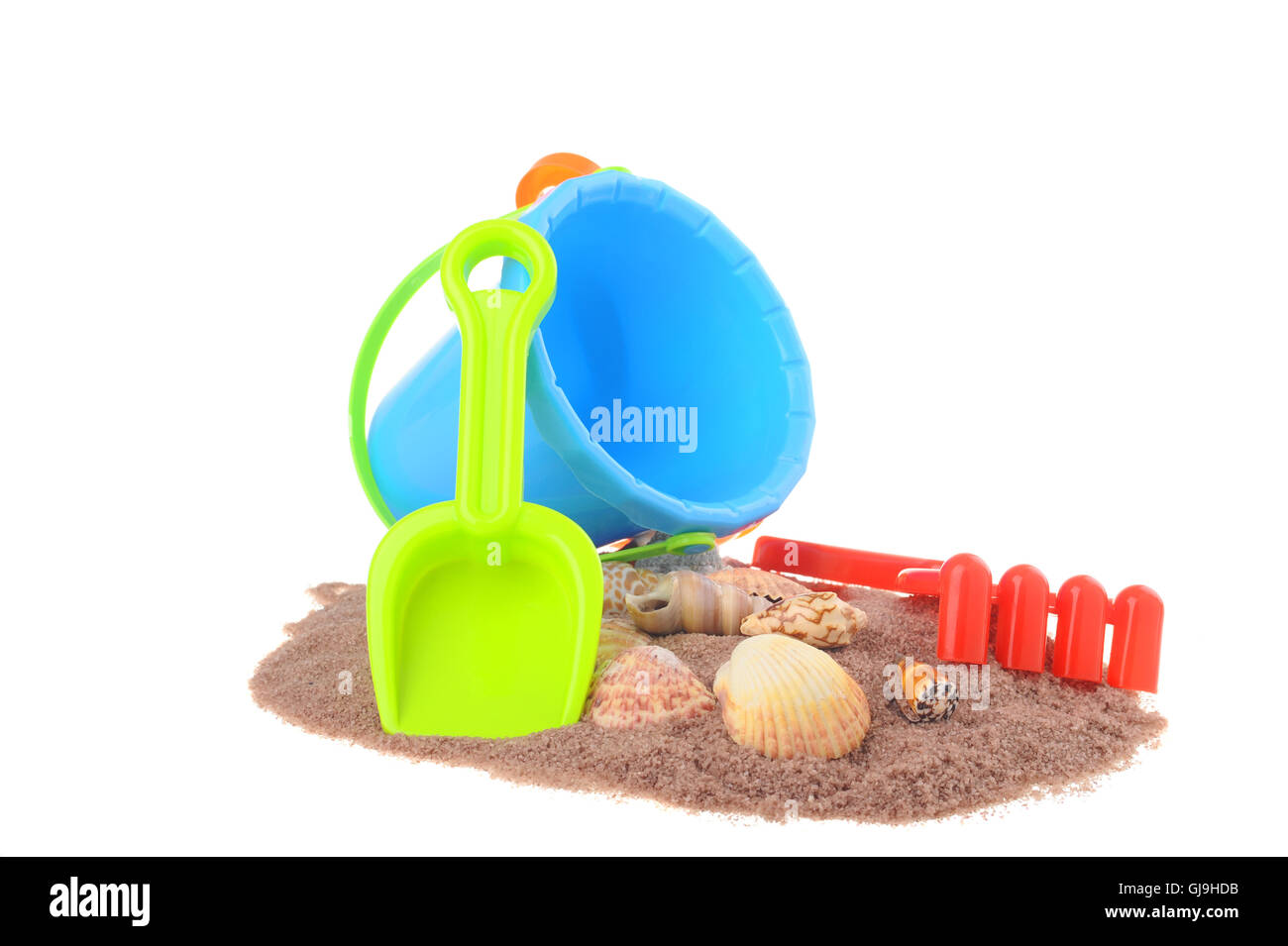 Sand shells on beach Cut Out Stock Images & Pictures - Alamy