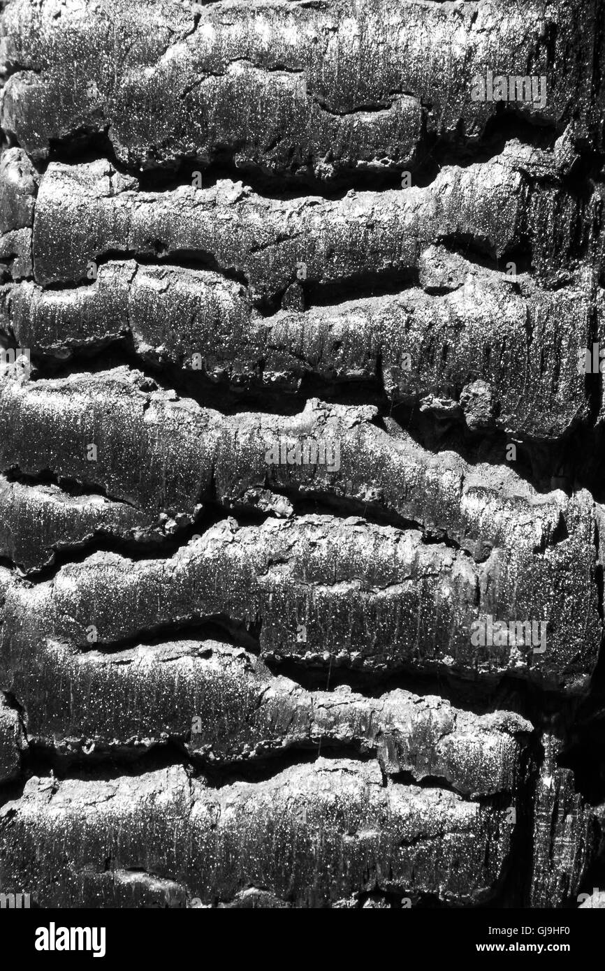 texture of burnt wood Stock Photo - Alamy