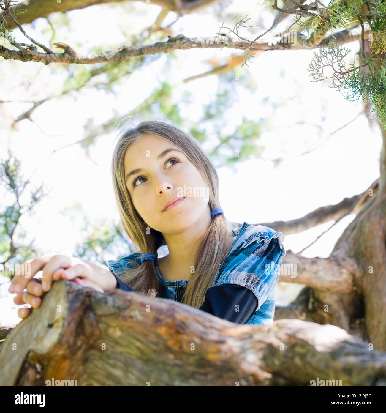 Portrait of Tween Girl in Tree Stock Photo - Alamy