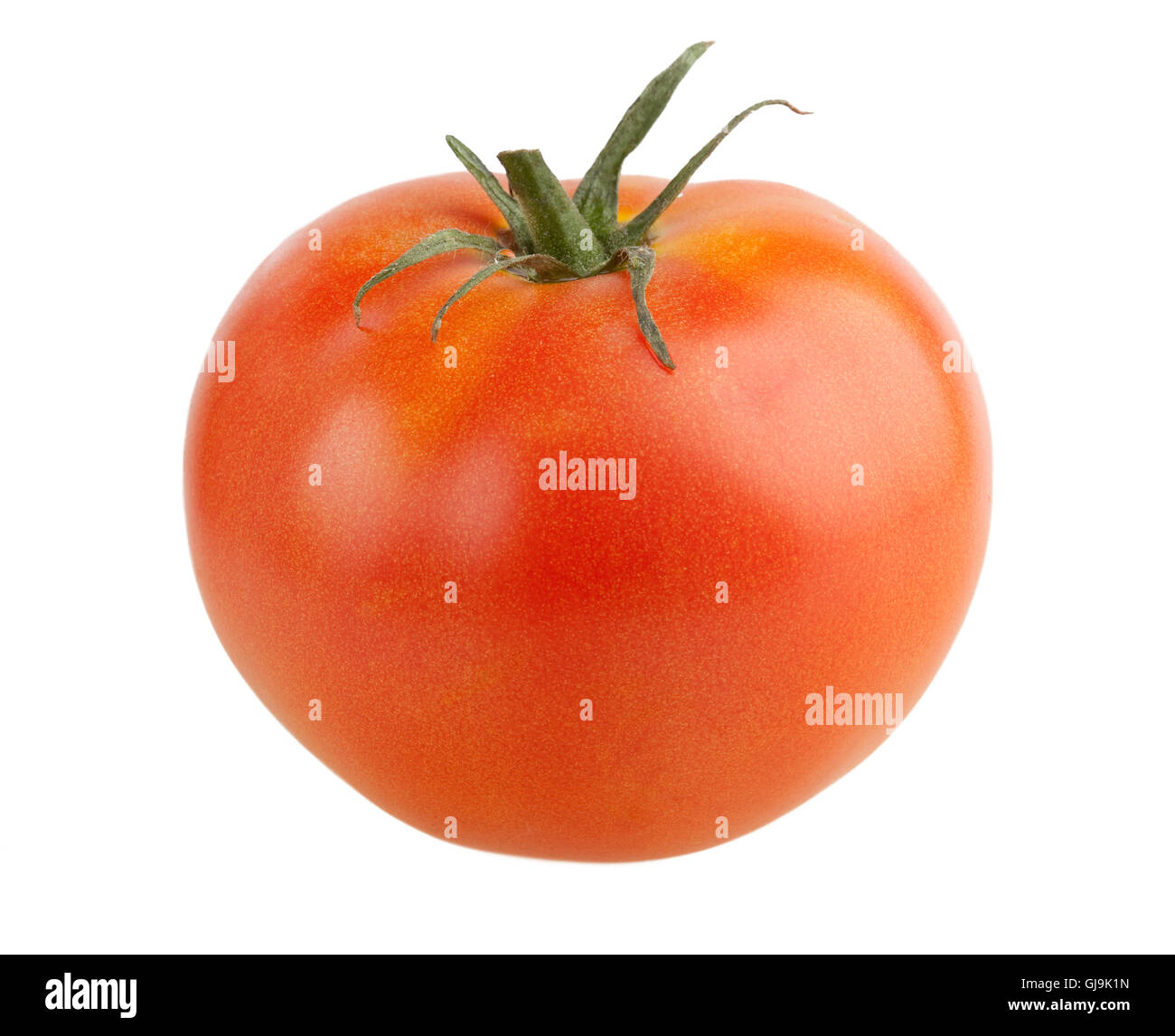 One tomato isolated Stock Photo - Alamy