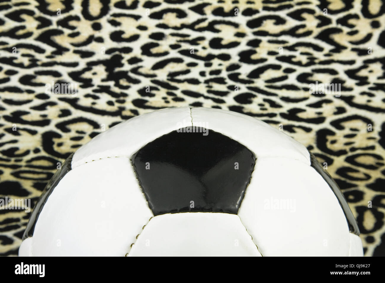 Black and white leopard hi-res stock photography and images - Alamy