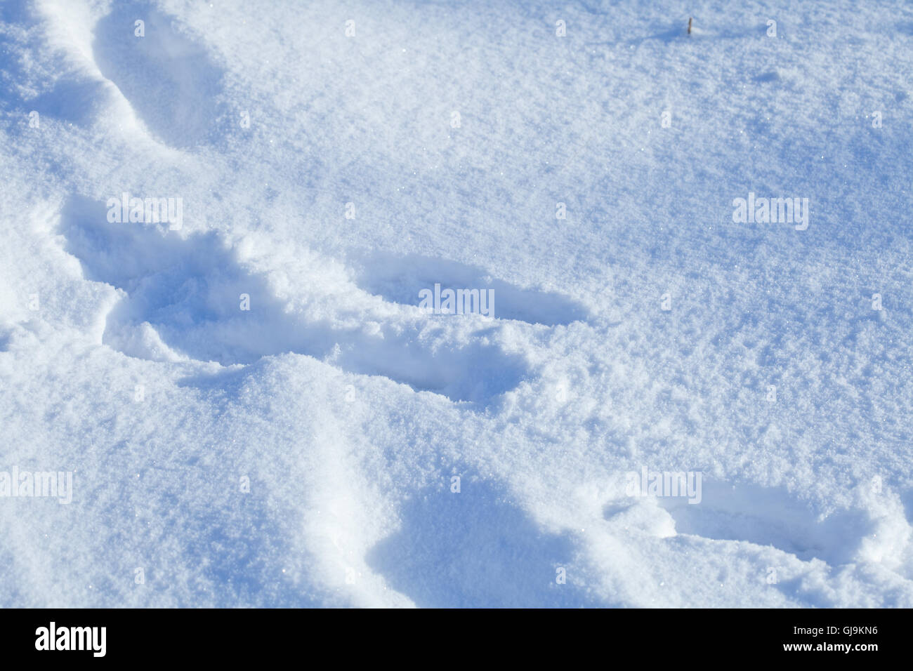 Here are my bank details hi-res stock photography and images - Alamy