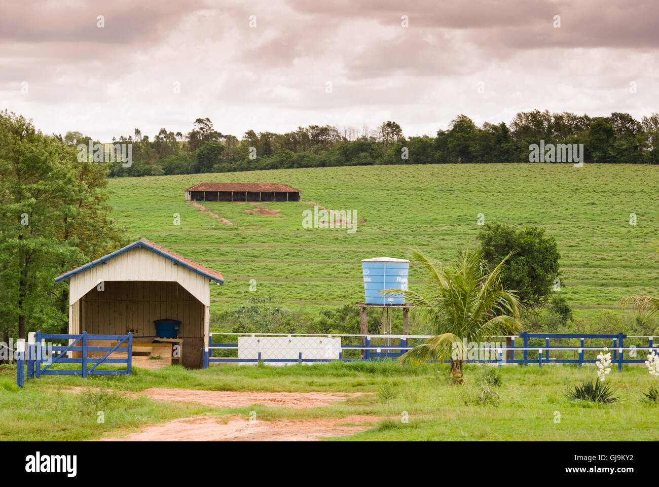 Brazilian farm hi-res stock photography and images - Alamy