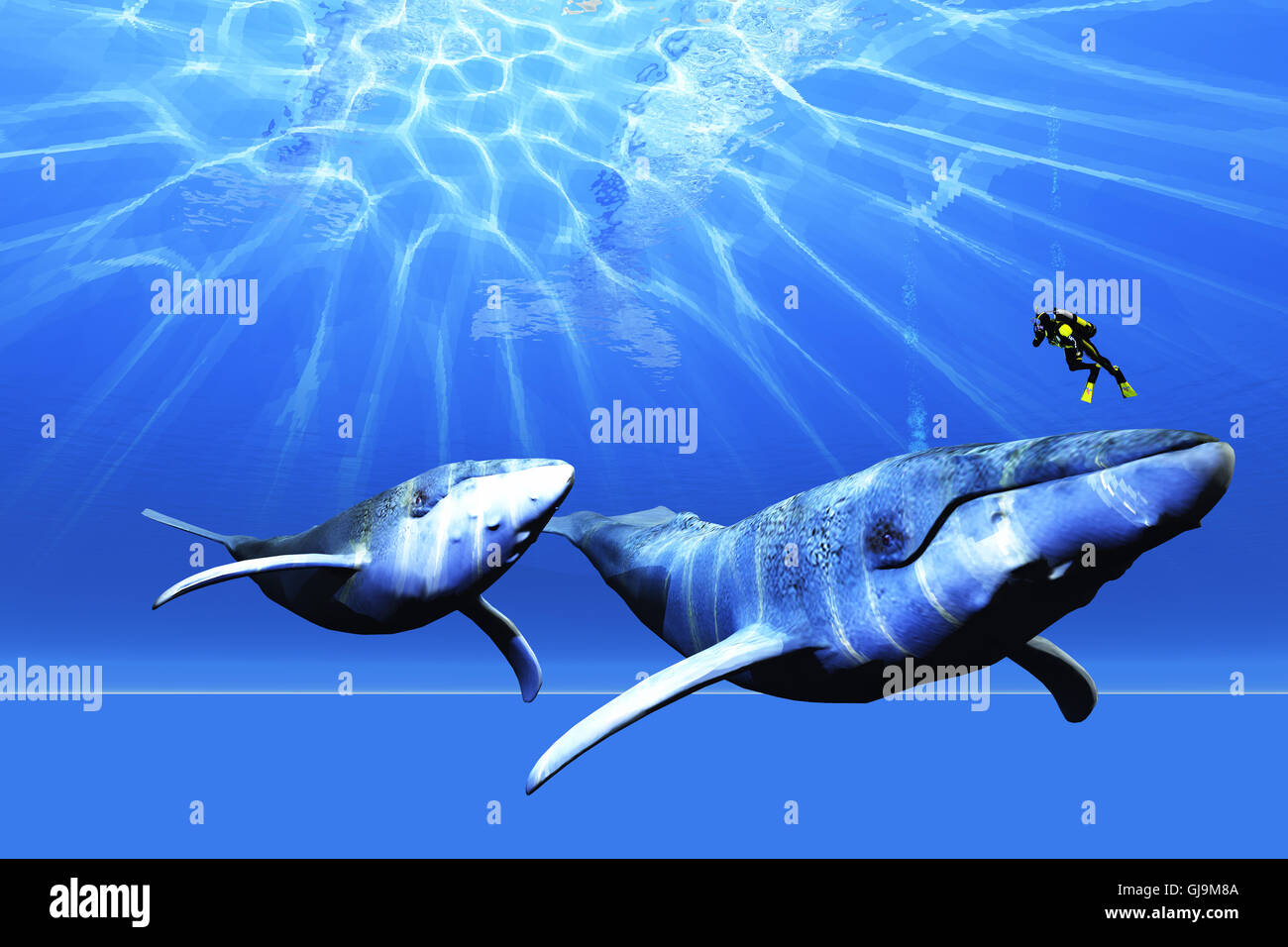 Awesome animal hi-res stock photography and images - Alamy