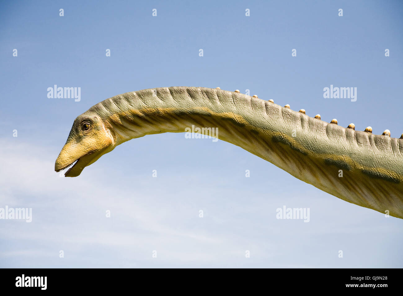 Diplodocus longus neck Stock Photo - Alamy