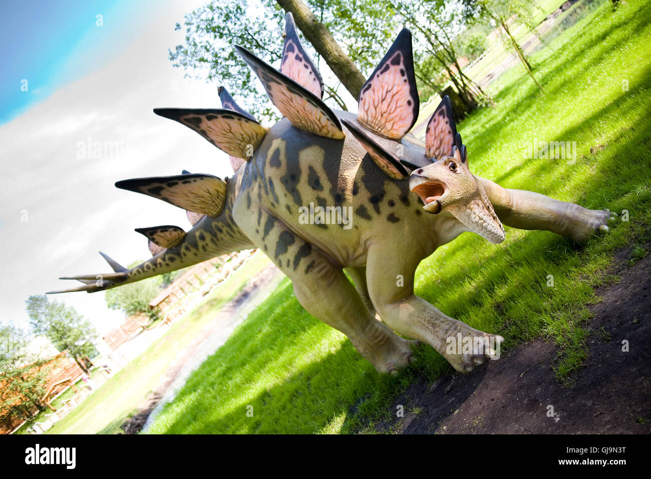 Stegosaurus tail fossil hi-res stock photography and images - Alamy