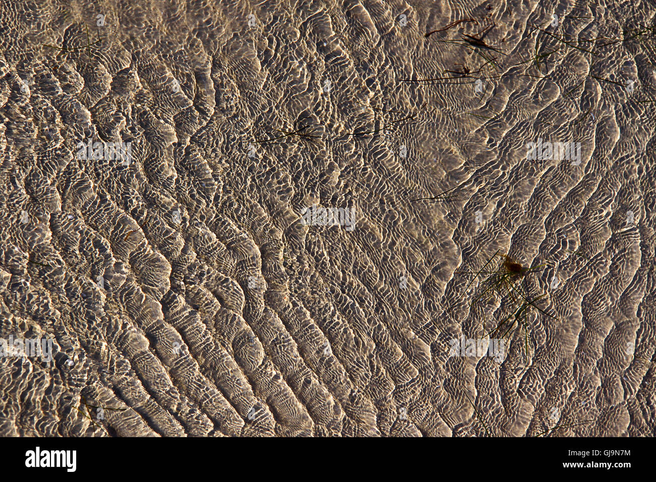 Gentle texture of water hi-res stock photography and images - Alamy