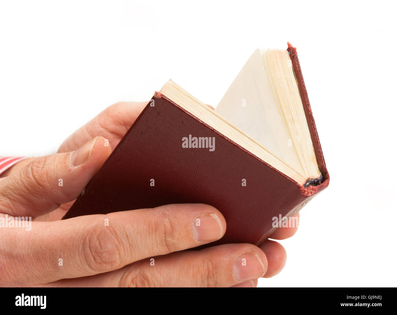 book in hand Stock Photo - Alamy