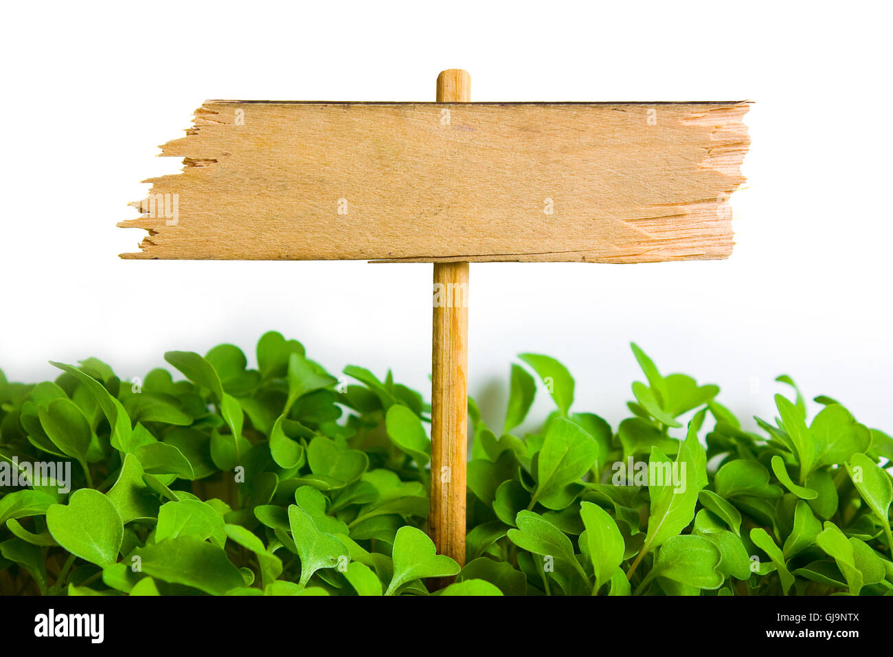 sign a pointer to the board Stock Photo - Alamy