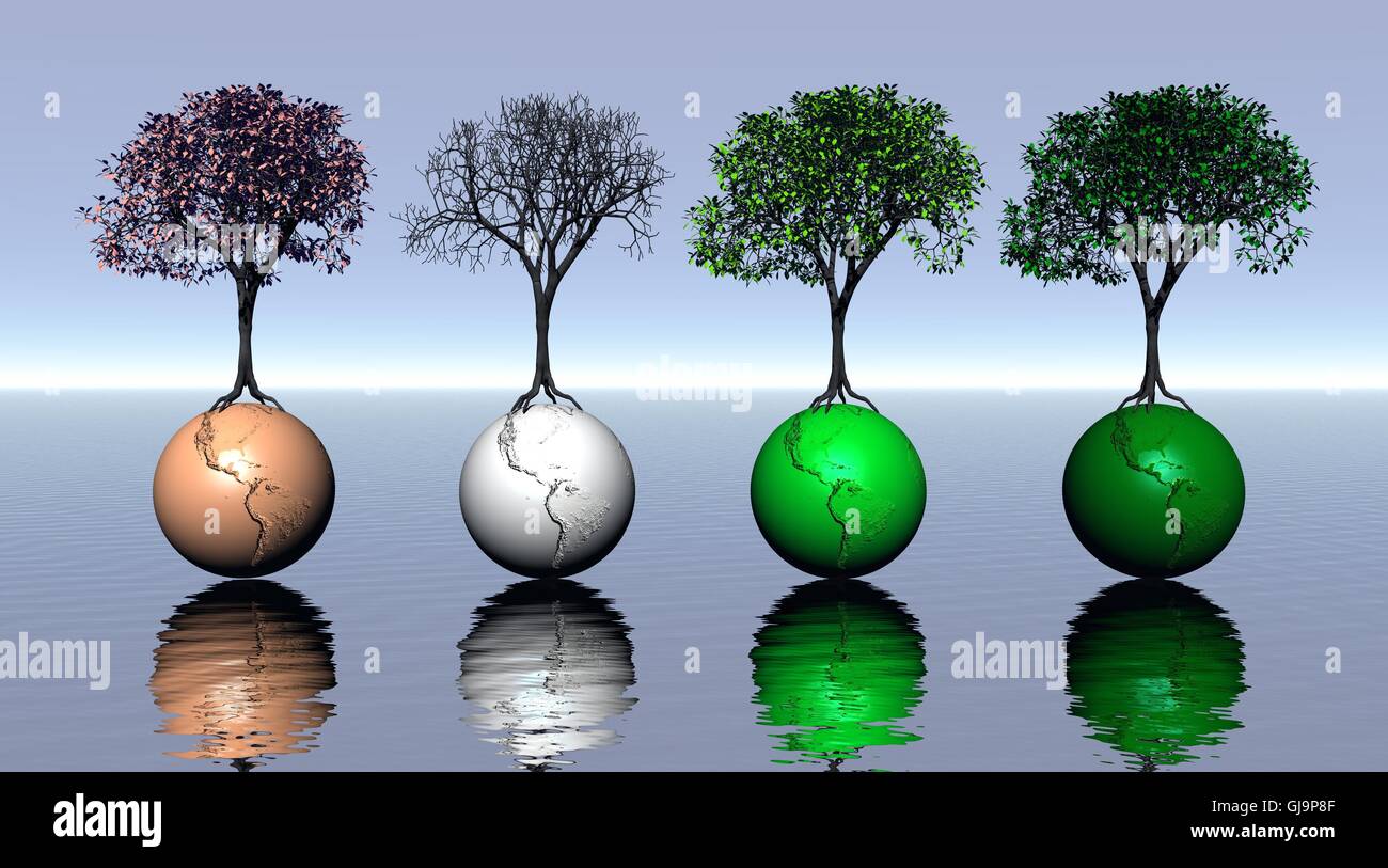 Four colored trees and earth for four seasons Stock Photo - Alamy