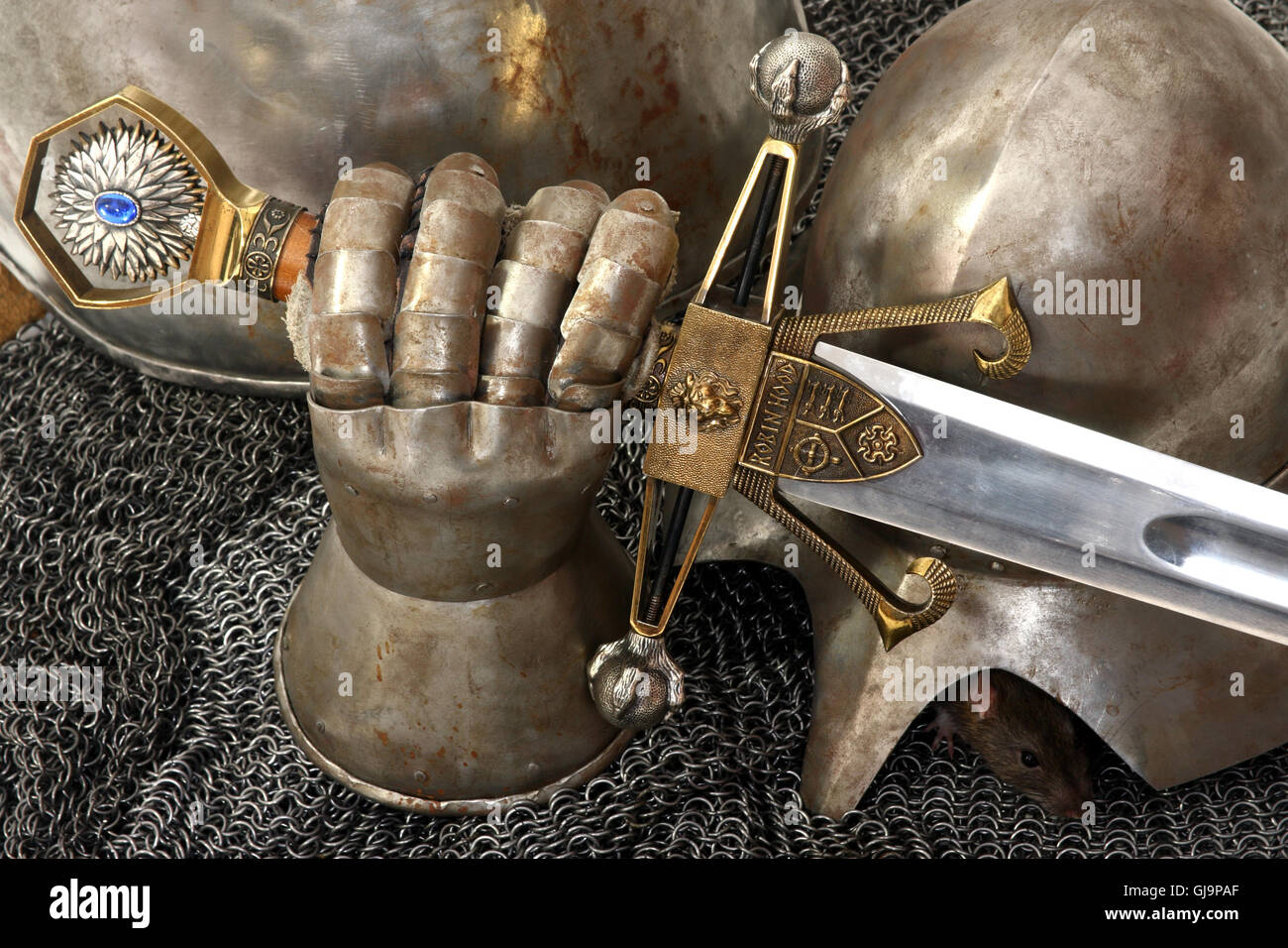 Rat on chain hi-res stock photography and images - Alamy