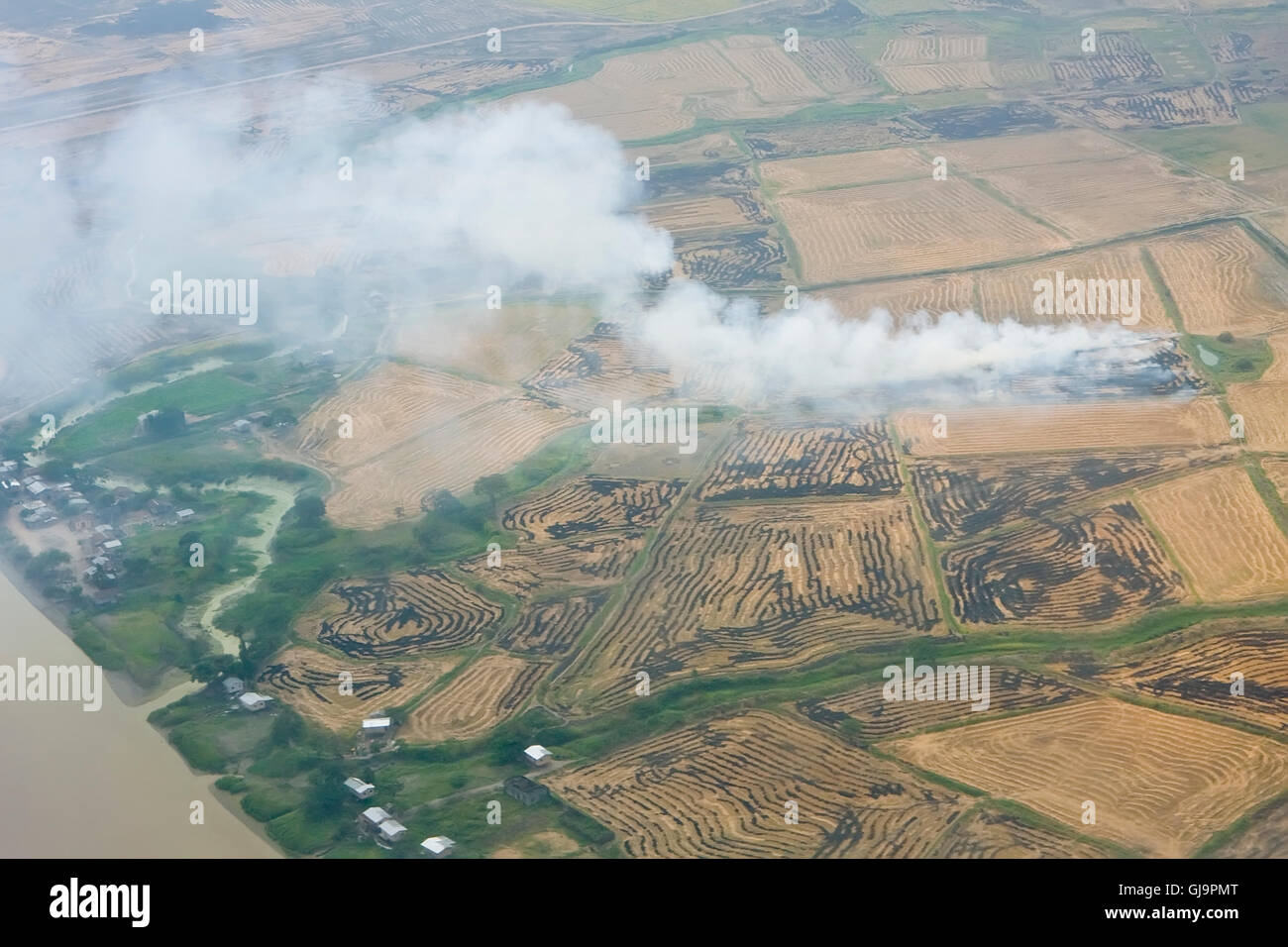 Aerial view of the Amazon and Napo River in Ecuador Stock Photo - Alamy