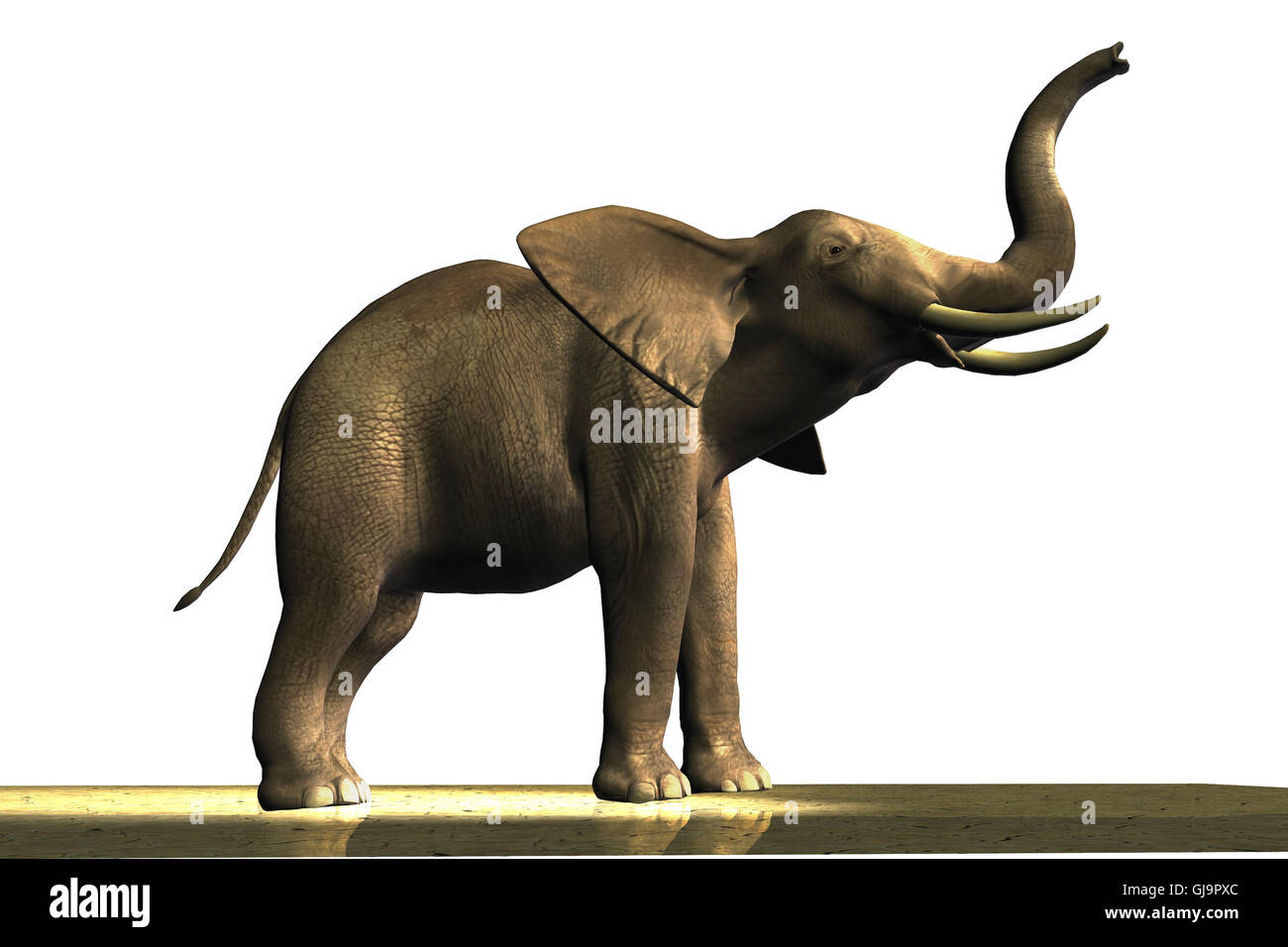 Elephant are very dangerous animal hi-res stock photography and images ...