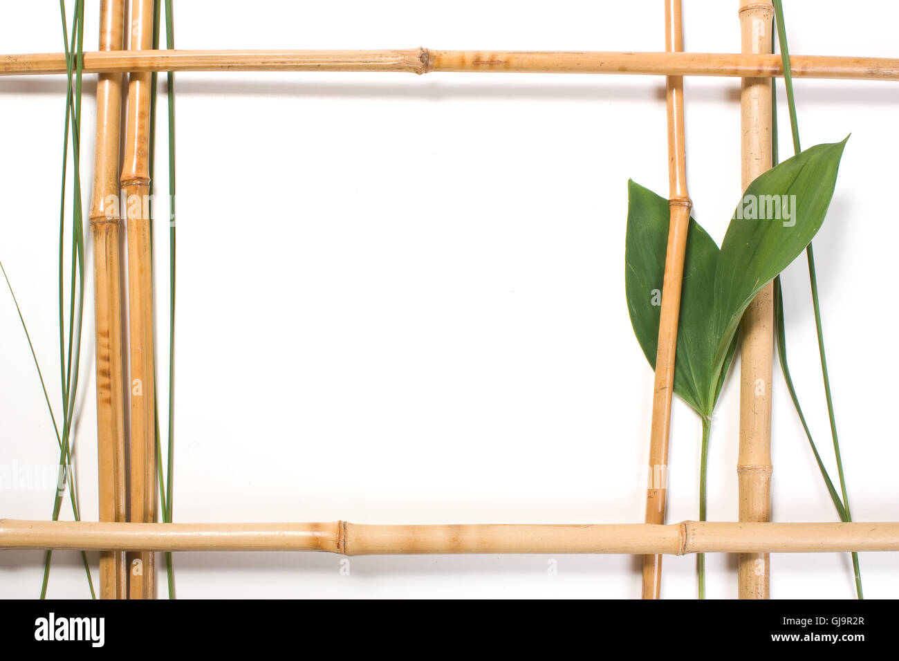 Bamboo leaves frame hi-res stock photography and images - Alamy