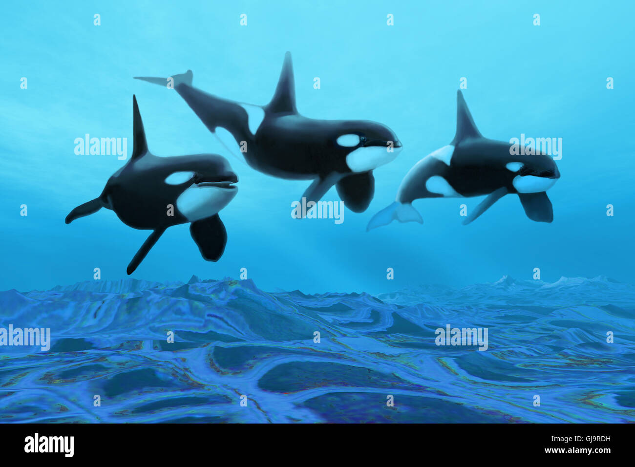 Whale world hi-res stock photography and images - Alamy